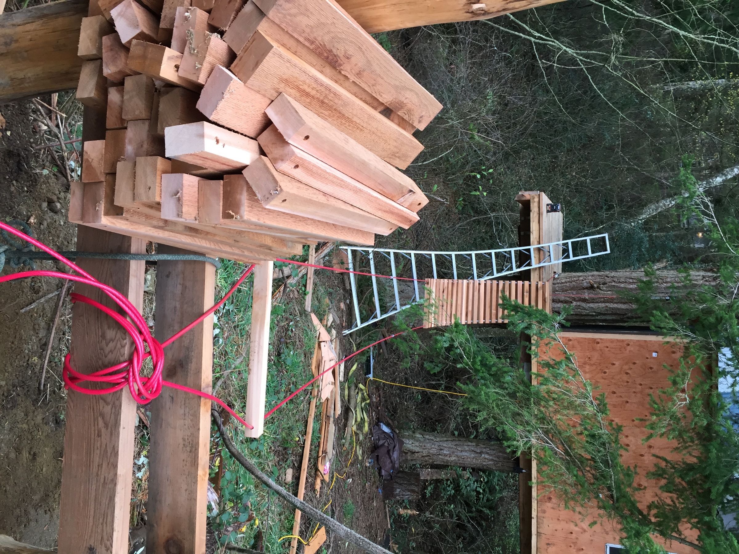 Treehouse Build : 10 Steps (with Pictures) - Instructables