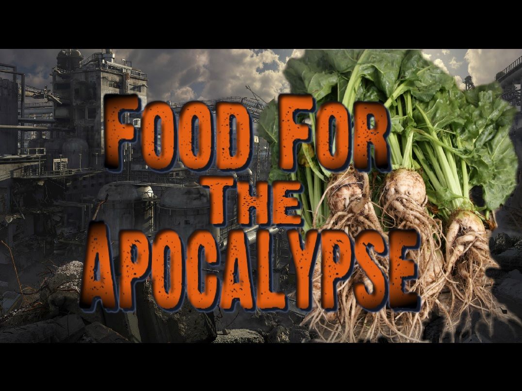 Food for the Apocalypse : 9 Steps (with Pictures) - Instructables