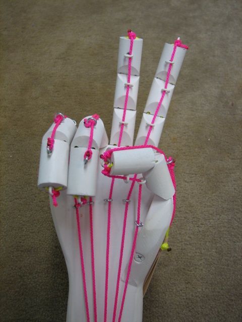 Science Fair - Articulated Hand