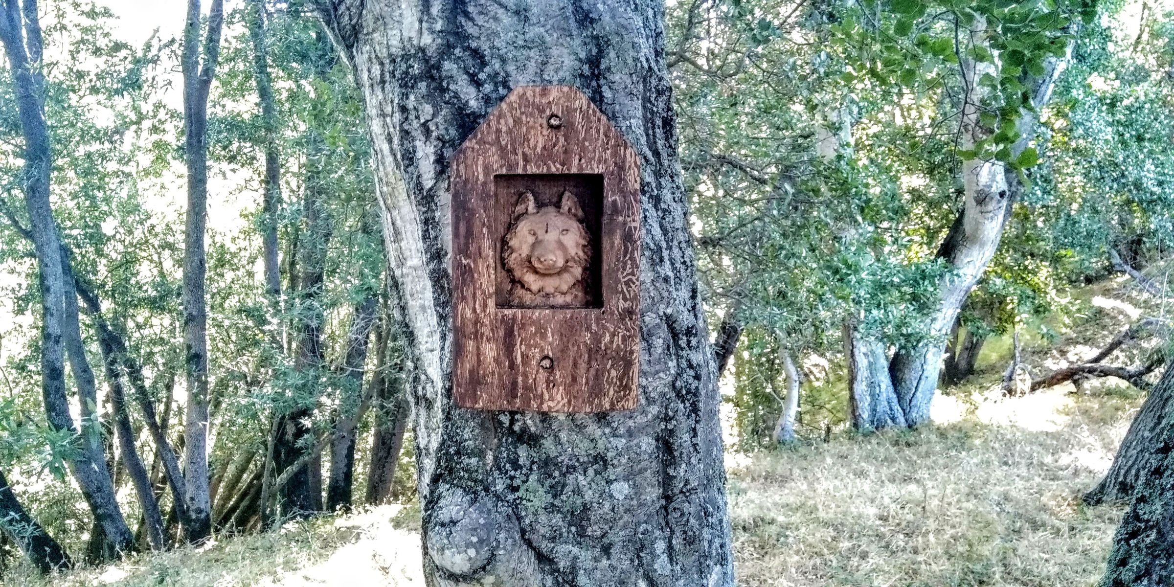 CNC Log Carving : 5 Steps (with Pictures) - Instructables