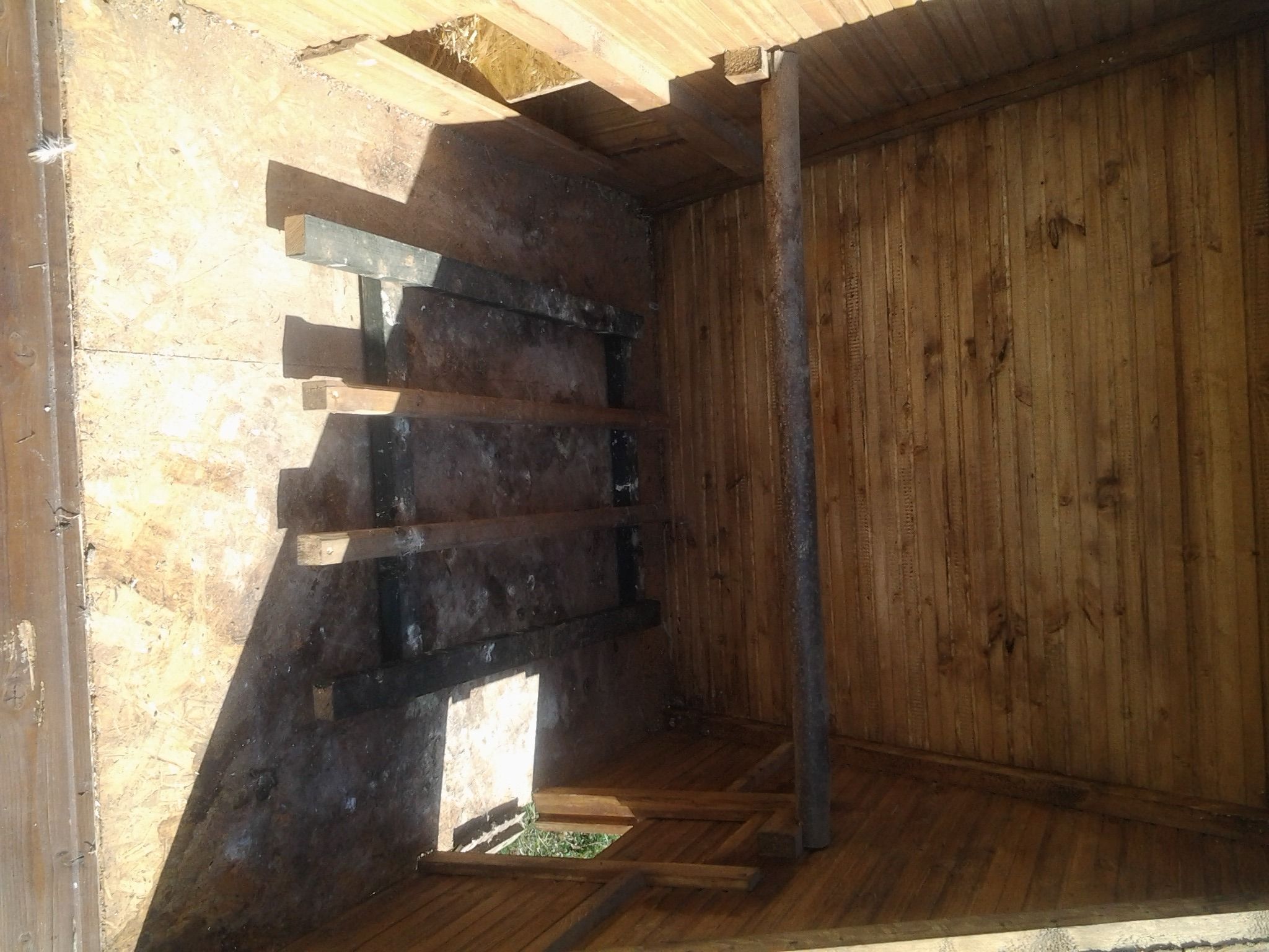 Ark Shaped Chicken Coop : 10 Steps (with Pictures) - Instructables
