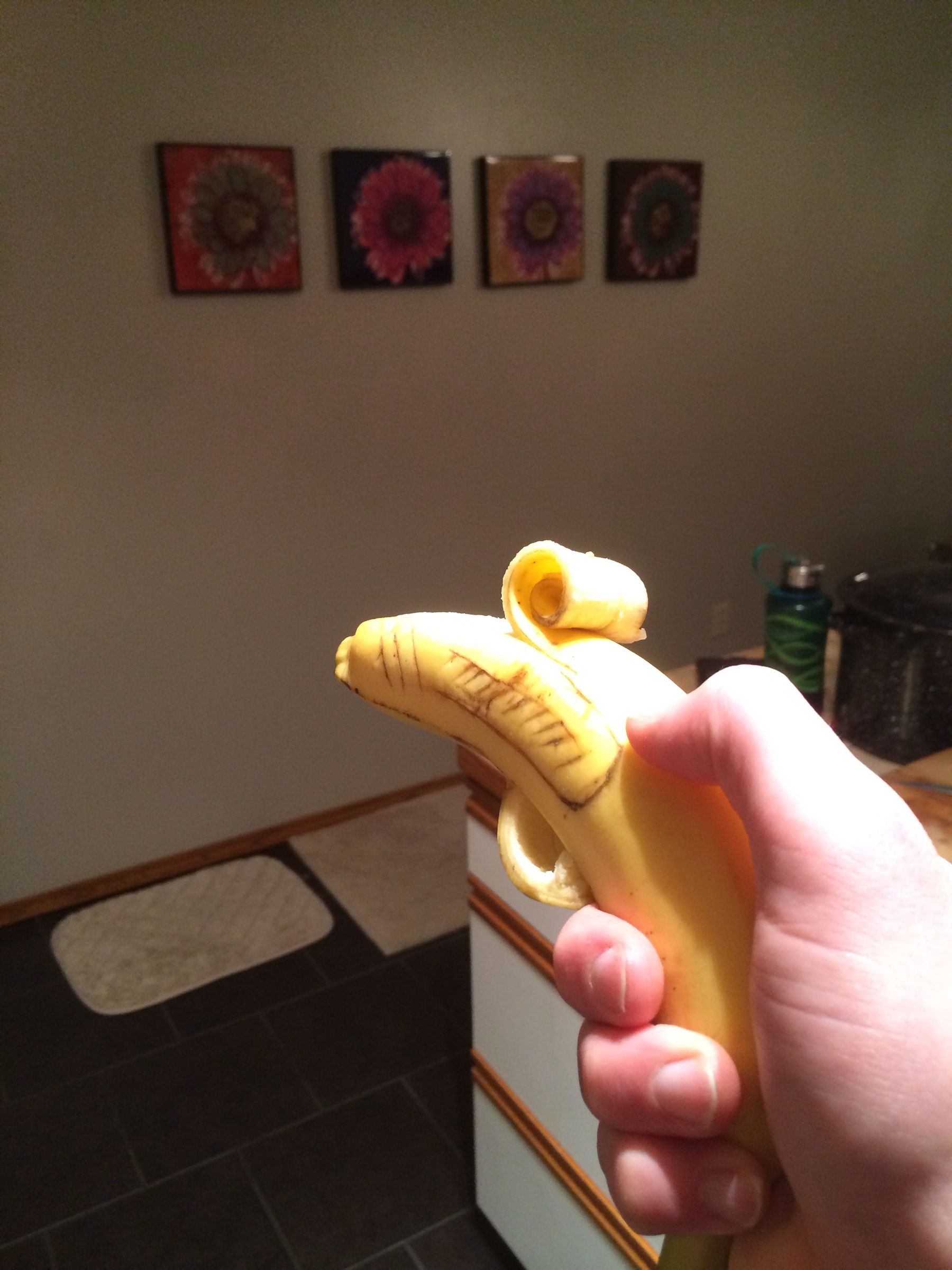 Banana Gun! : 4 Steps - Instructables