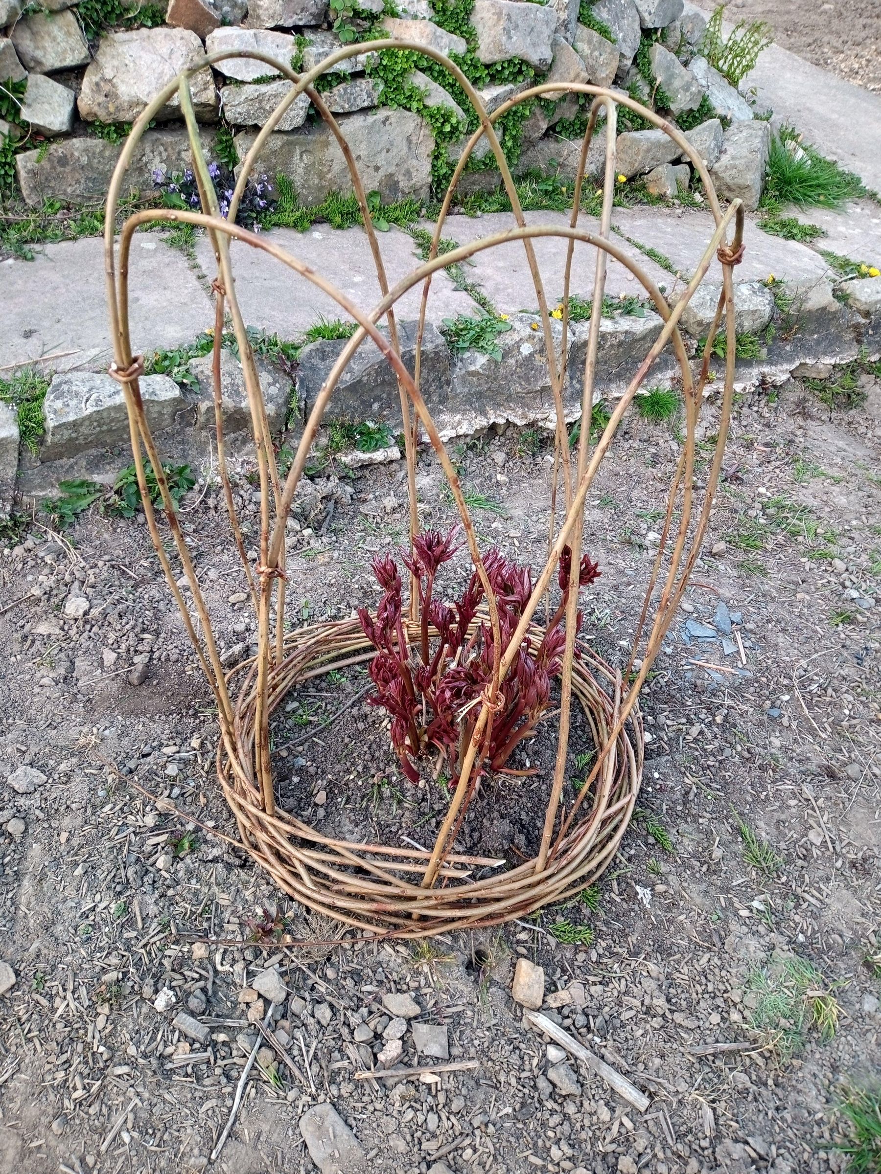 Willow Flower Support : 4 Steps (with Pictures) - Instructables