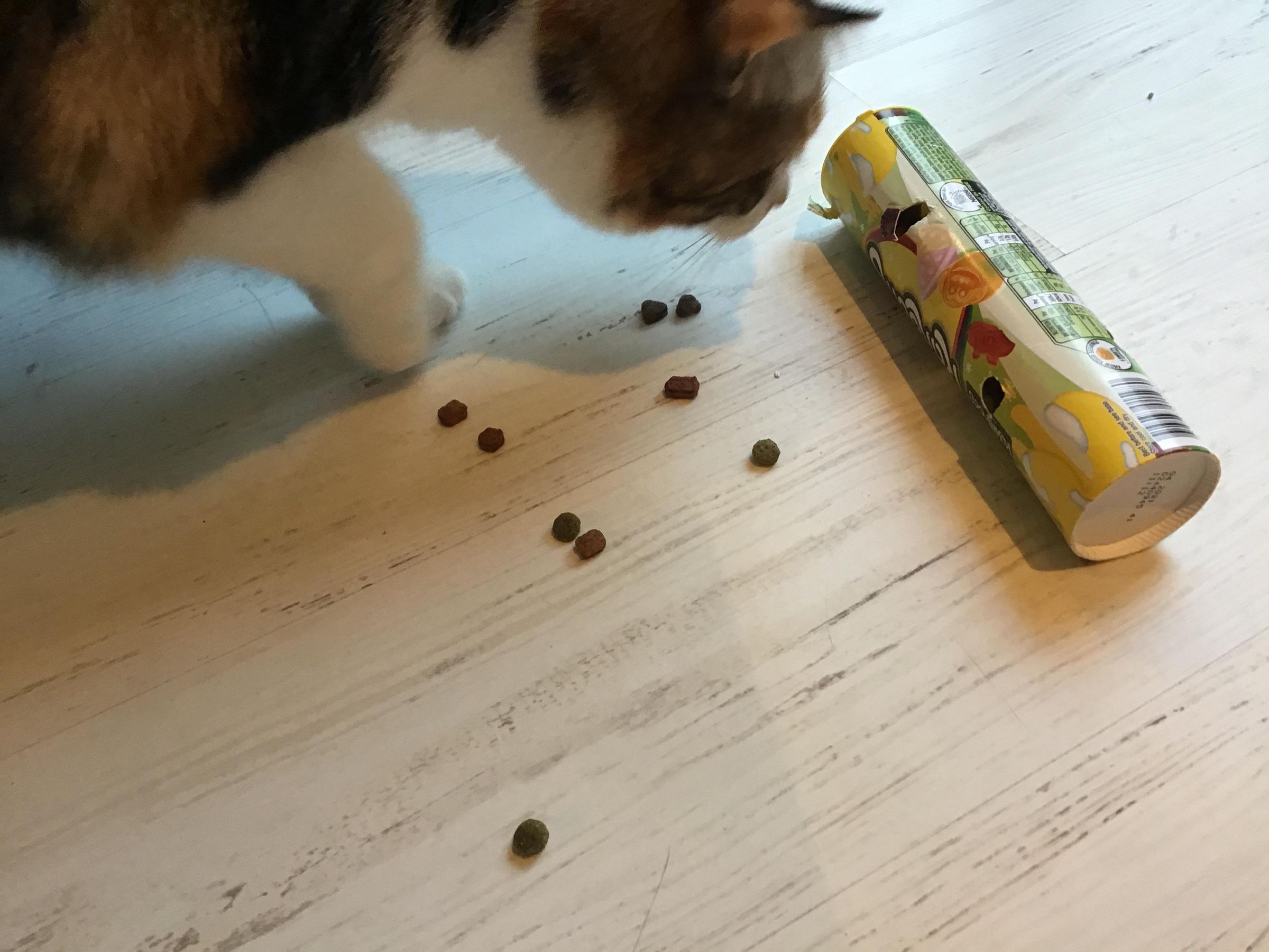 Easy Recycled Cat Treat Toy : 4 Steps (with Pictures) - Instructables