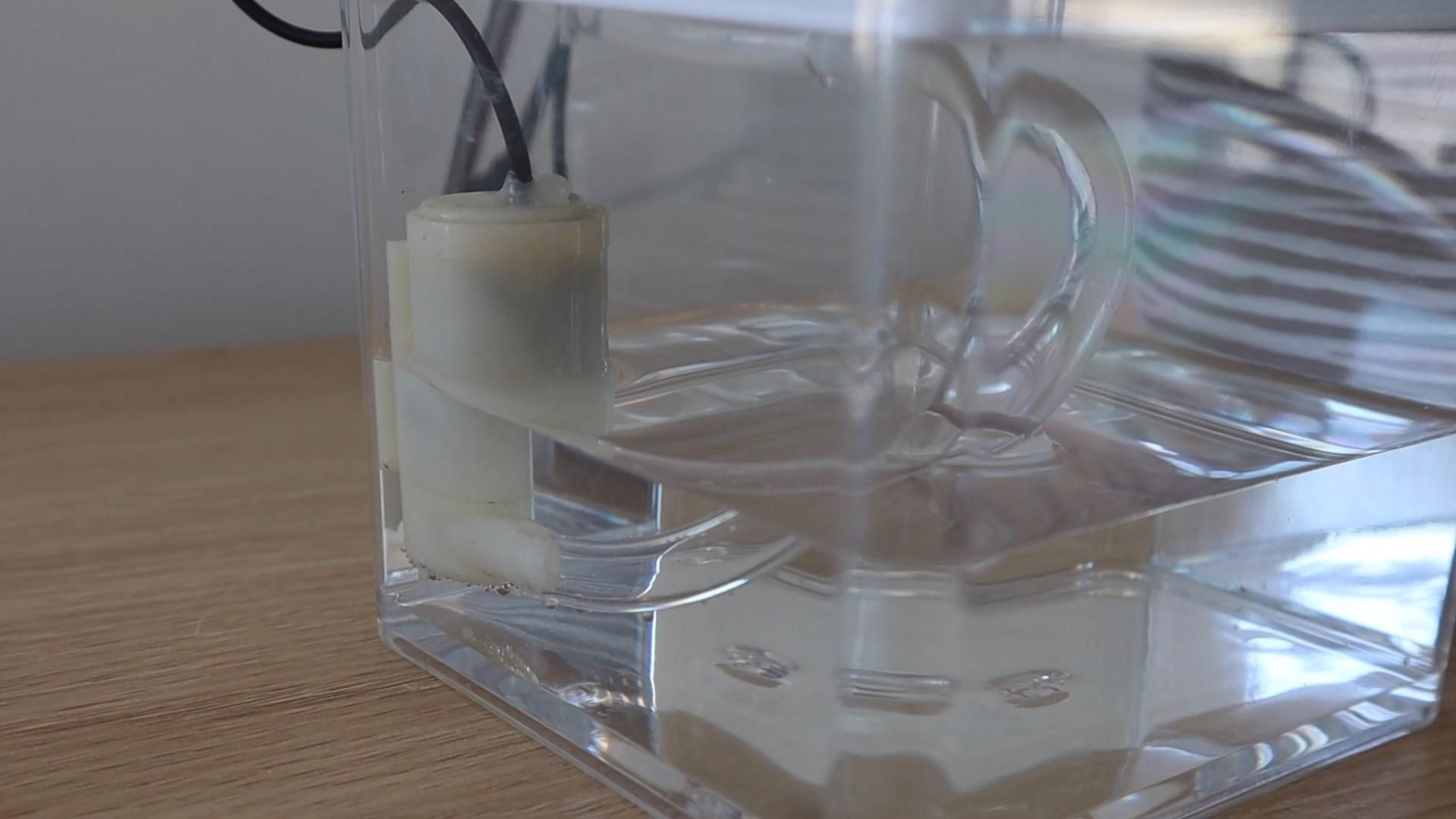 Automatic Plant Watering System Using a Micro:bit : 8 Steps (with ...