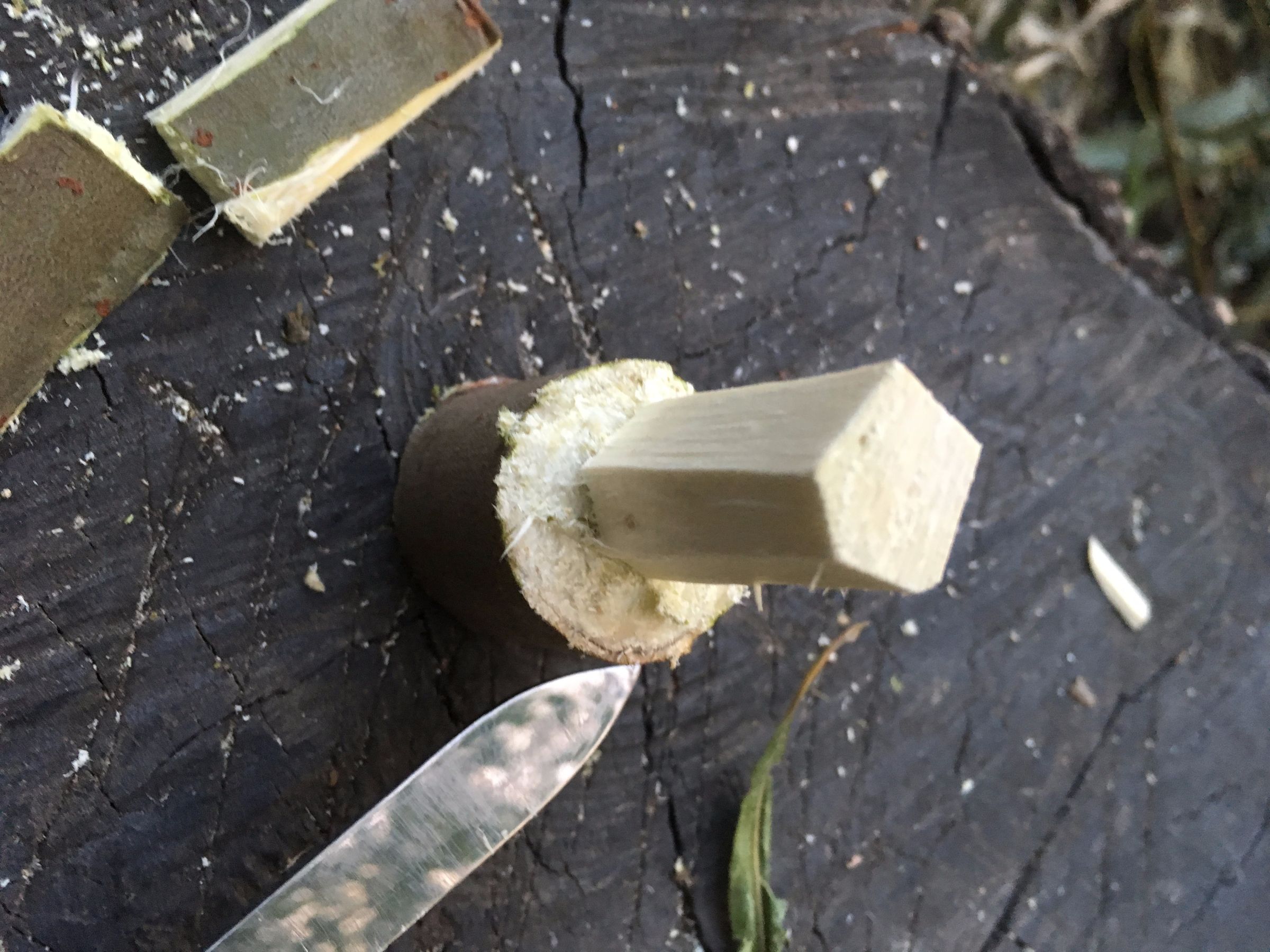 5 Super-easy Branch Carving Projects : 10 Steps (with Pictures ...