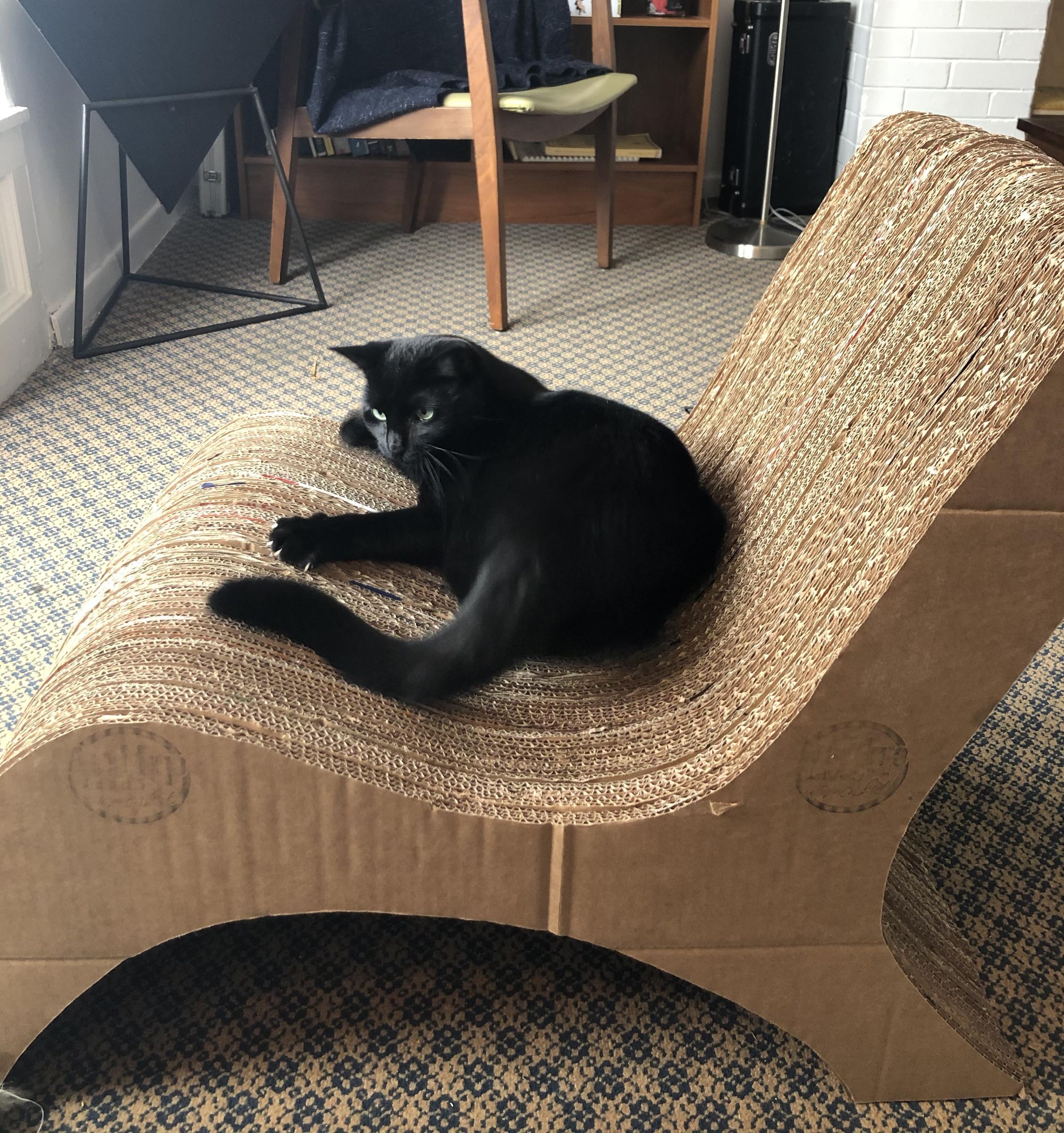 Modern Cardboard Chair : 5 Steps (with Pictures) - Instructables