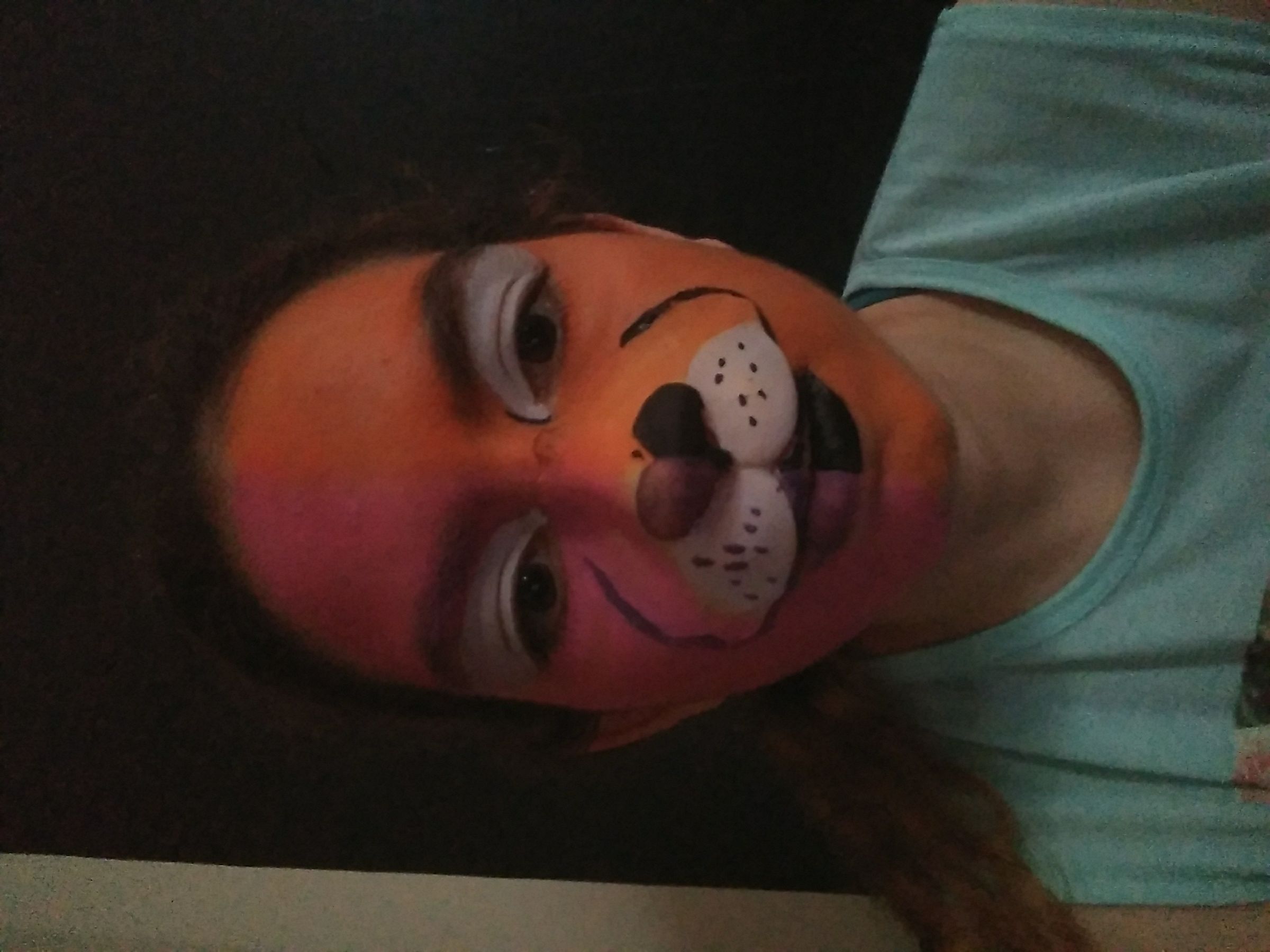 Two Tone Tiger Face Paint : 8 Steps (with Pictures) - Instructables