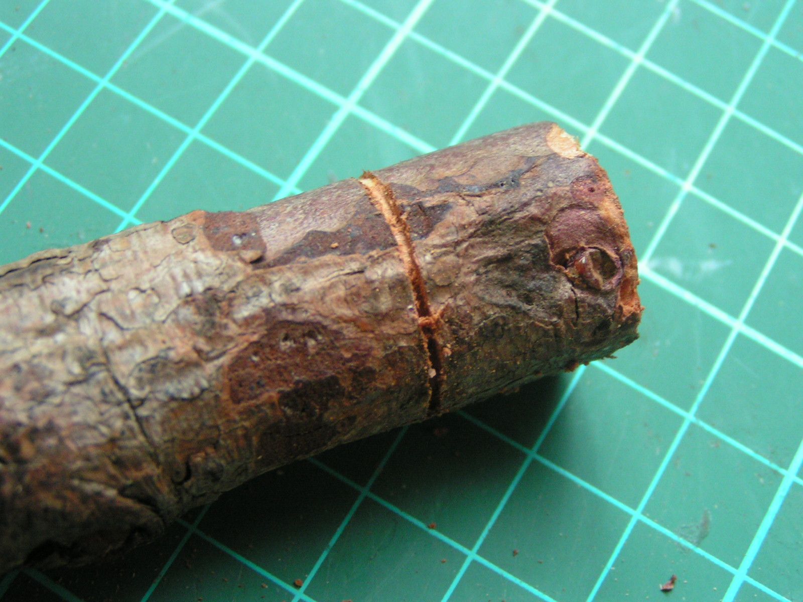 How to Confuzzle Your Friends With the Puzzle Stick. : 6 Steps (with ...