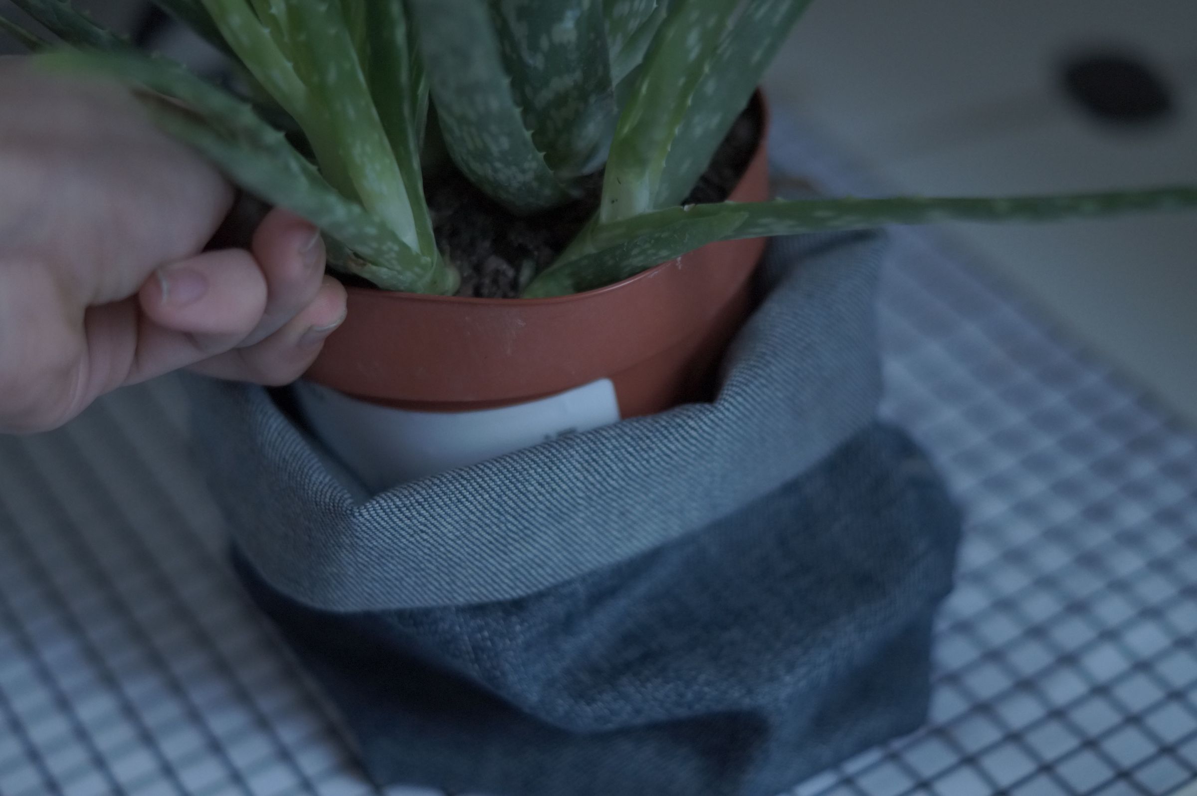 DIY Jean Planters - Recycled : 9 Steps (with Pictures) - Instructables