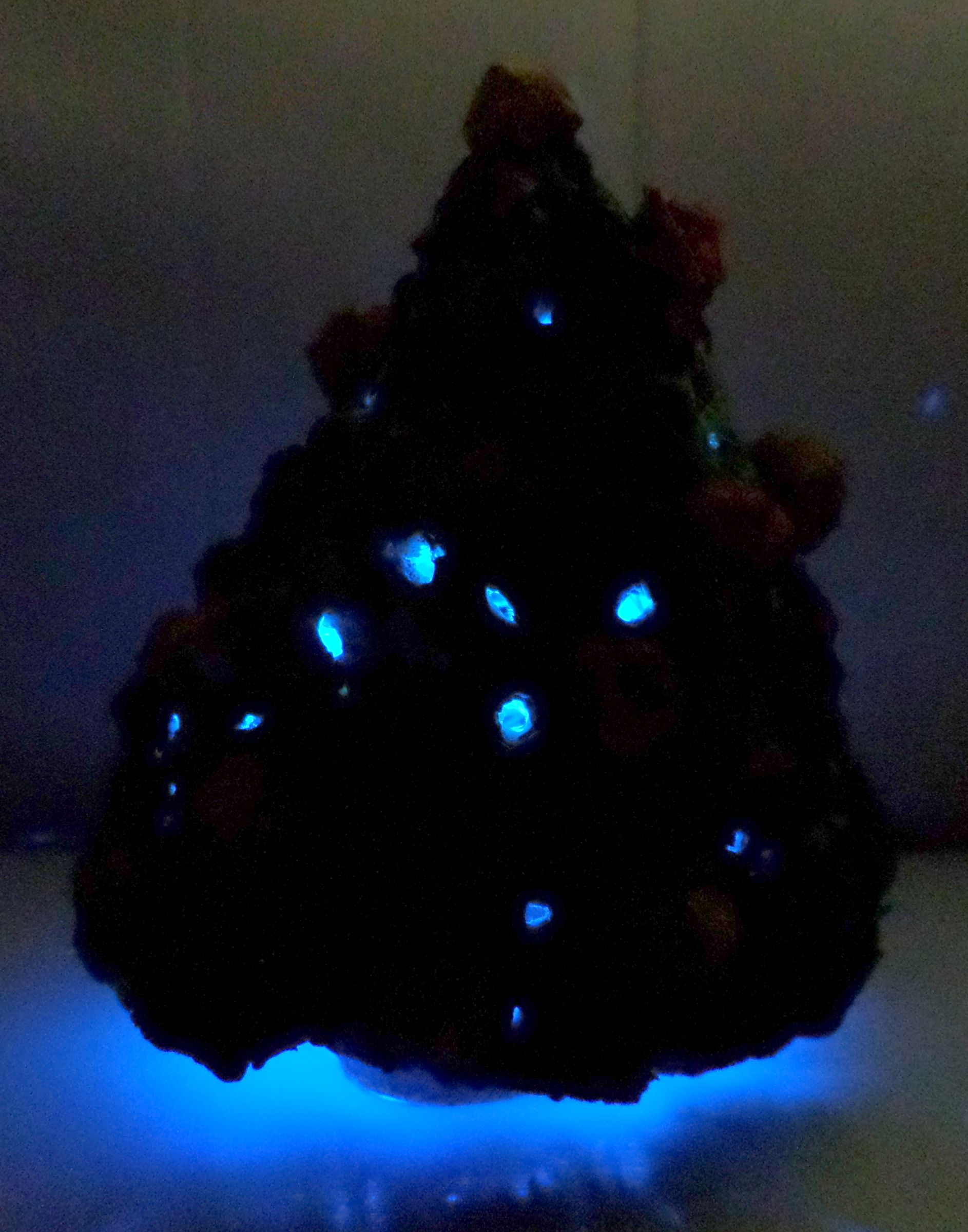 Mini Paper Mache Light-Up Christmas Tree : 8 Steps (with Pictures ...