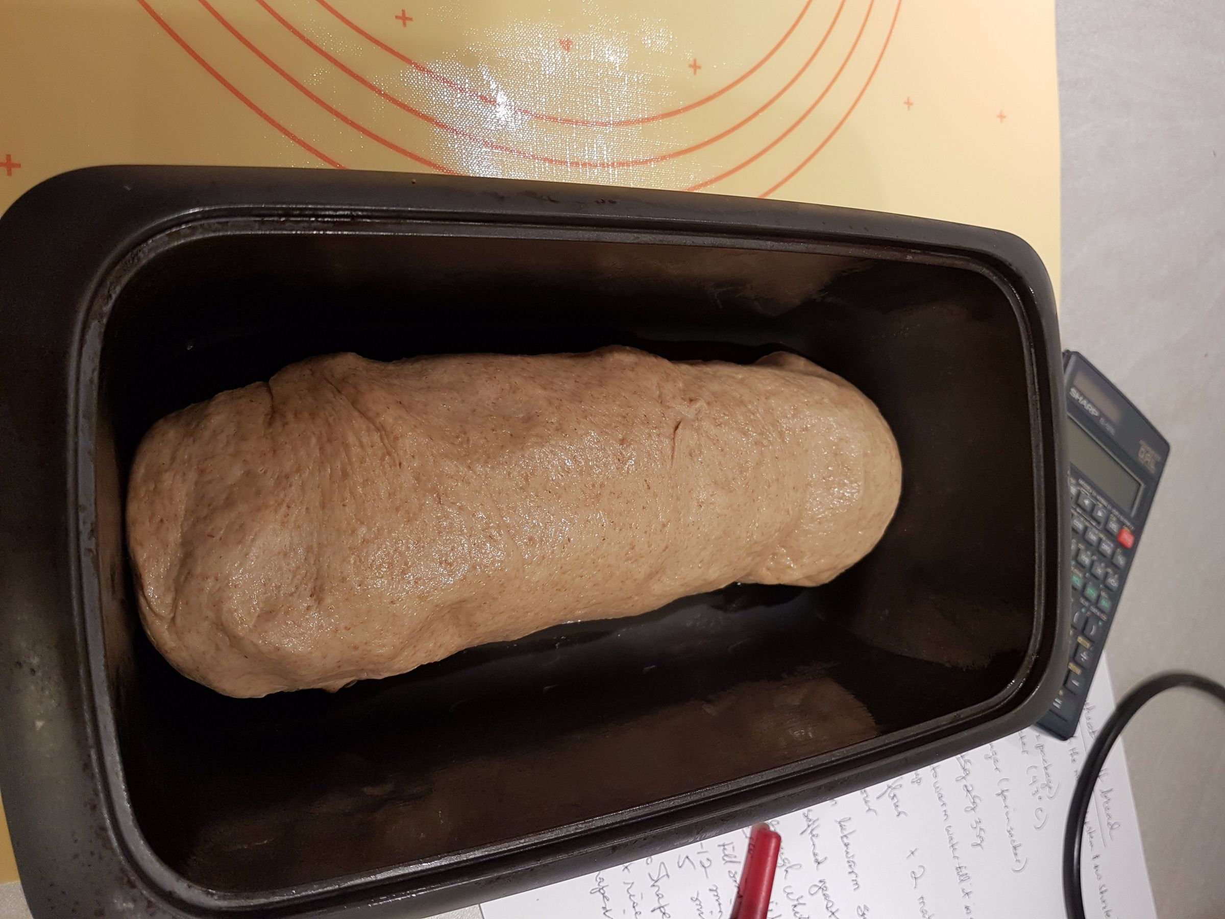 Teff Bread in Metric : 5 Steps (with Pictures) - Instructables