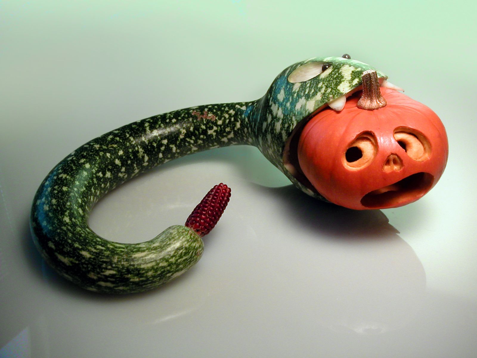Gourd Snake Swallowing a Baby Pumpkin : 4 Steps (with Pictures ...