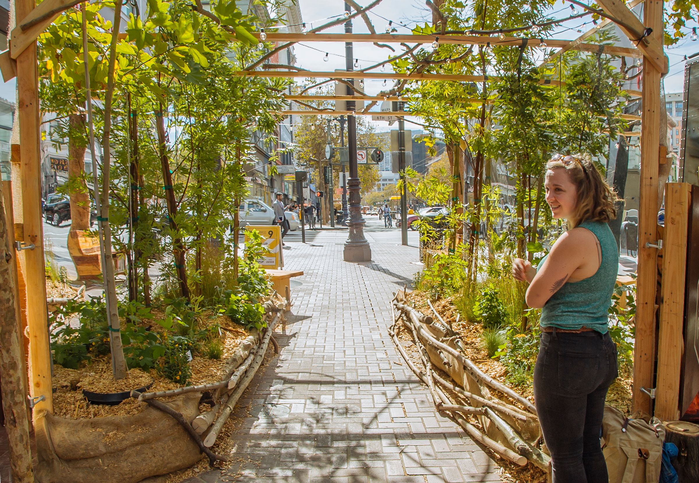 How to Create a Pop-Up Forest! : 6 Steps (with Pictures) - Instructables