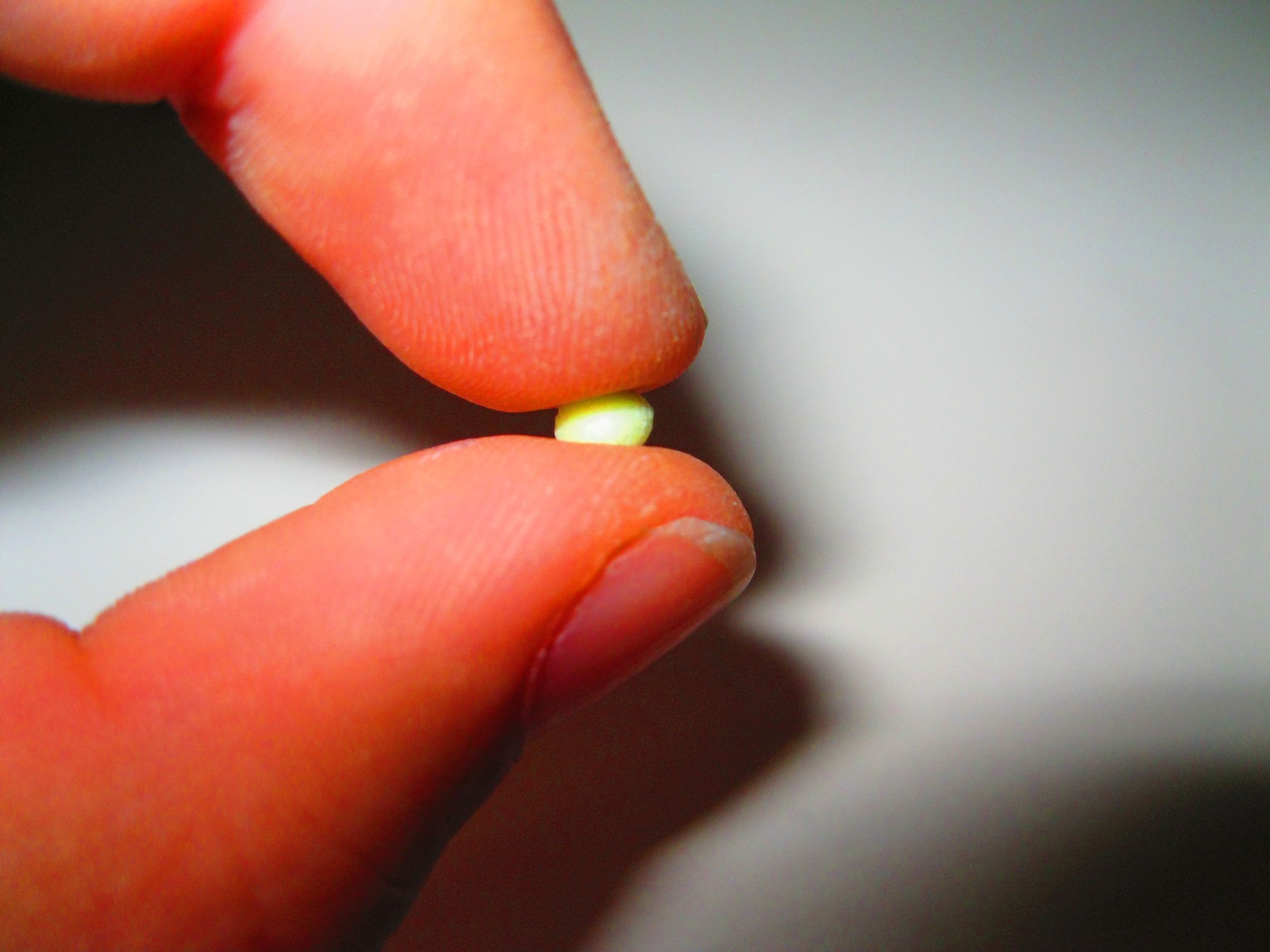 Modelling Clay Pigs : 8 Steps - Instructables