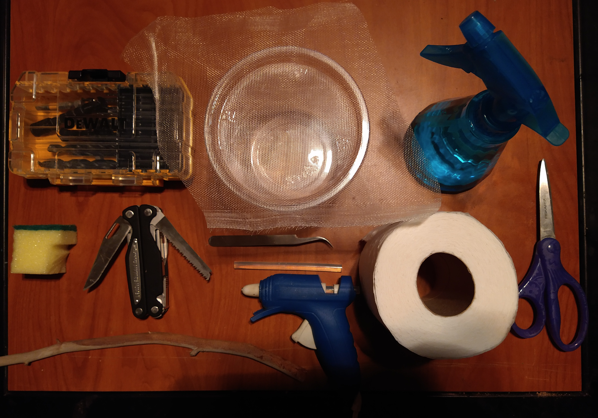 Perfect Praying Mantis Cups : 9 Steps (with Pictures) - Instructables