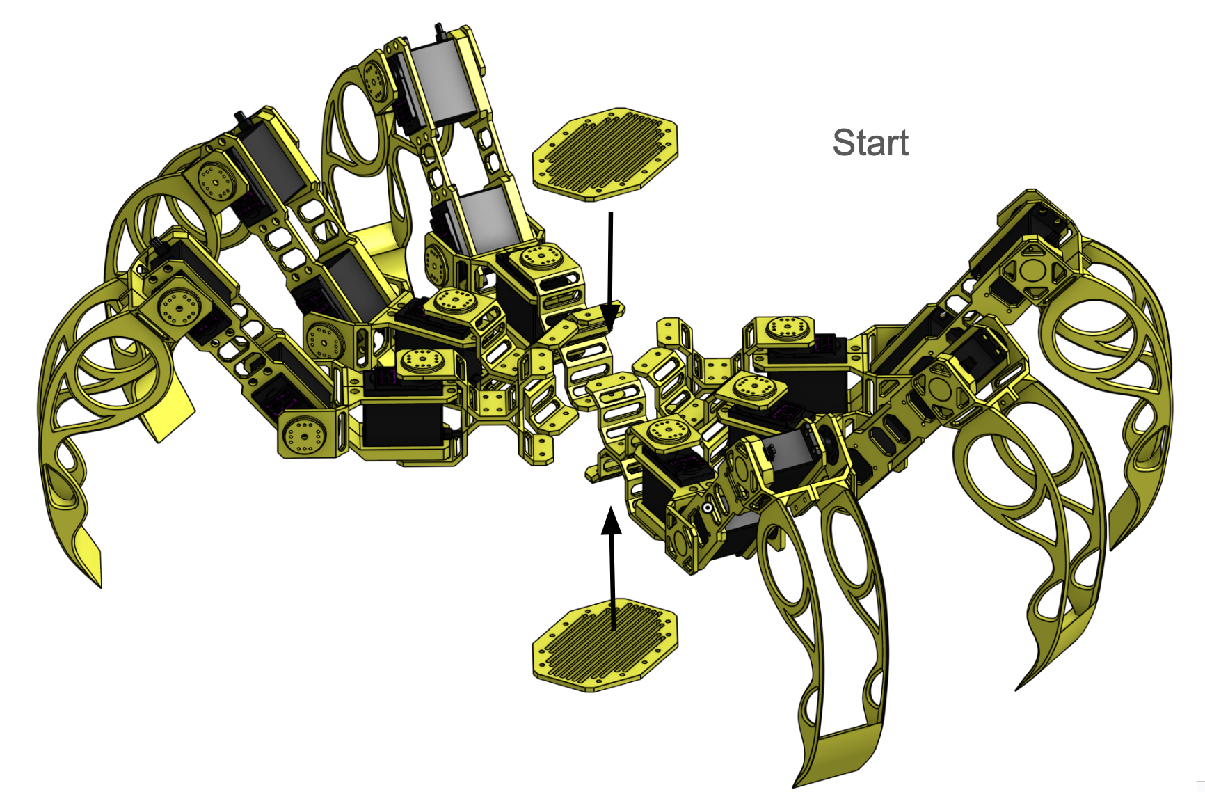 How to Make a Hexapod (Robot Spider)! : 9 Steps - Instructables