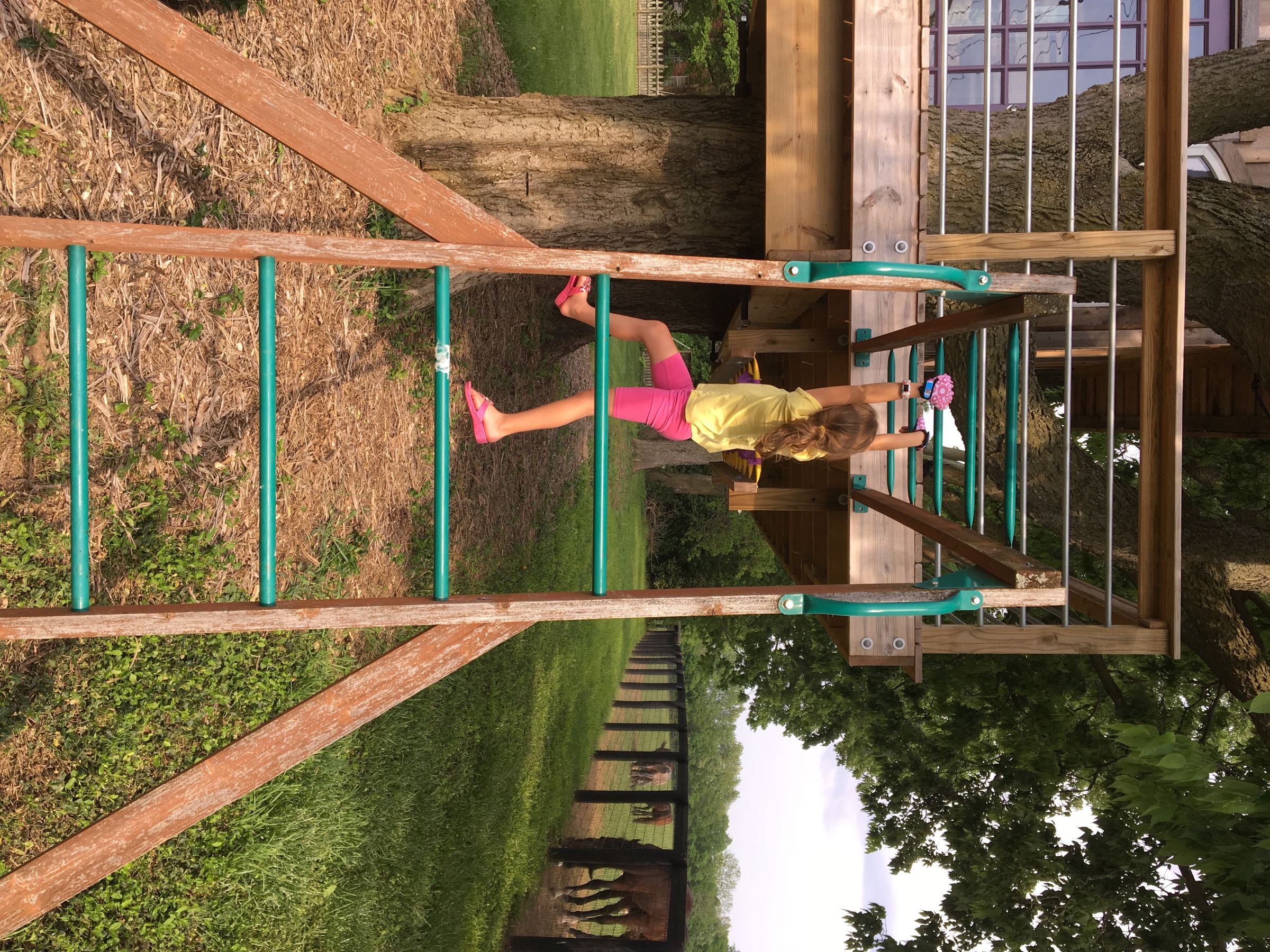 Adjustable Monkey Bars : 6 Steps (with Pictures) - Instructables