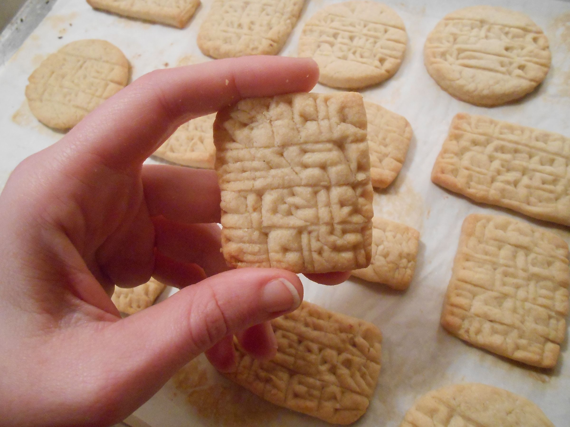 Cuneiform Clay Tablet Cookies : 7 Steps (with Pictures) - Instructables
