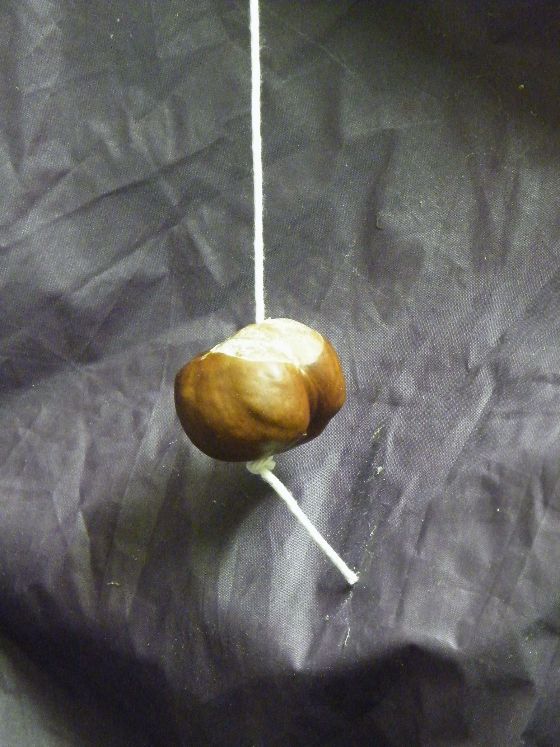 How to Play Conkers. : 7 Steps (with Pictures) - Instructables