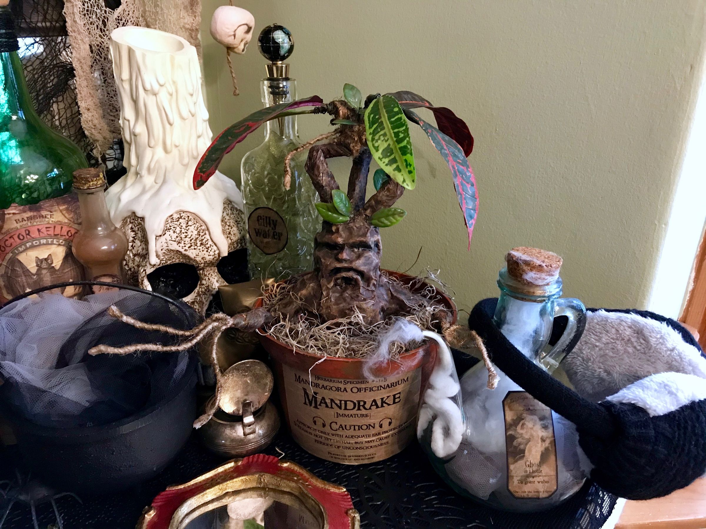 Harry Potter Mandrake Plant Prop : 8 Steps (with Pictures) - Instructables