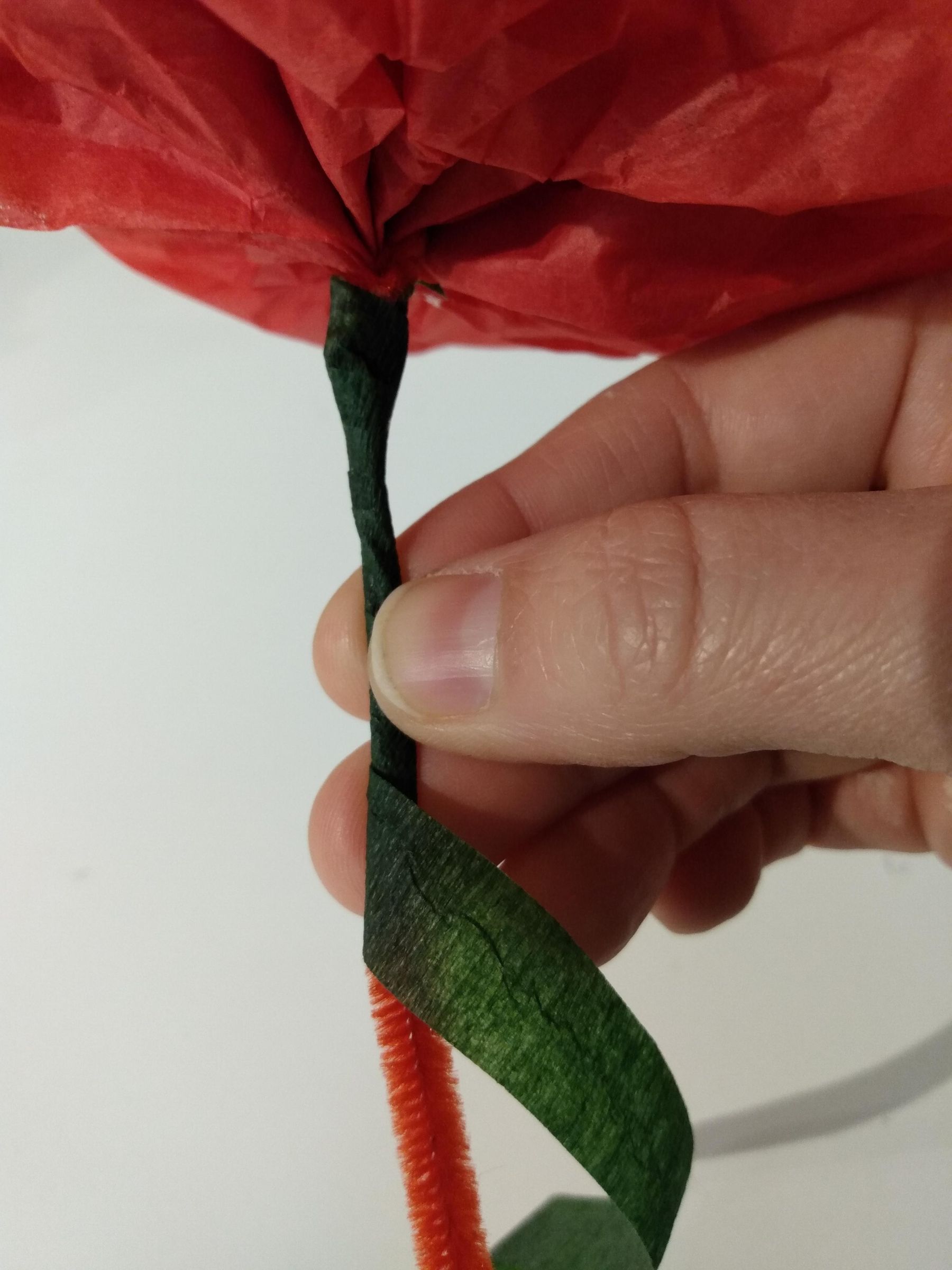 Tissue Paper Poppies : 7 Steps (with Pictures) - Instructables