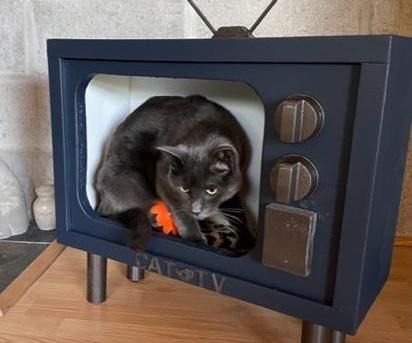 CAT-TV-BED : 6 Steps (with Pictures) - Instructables