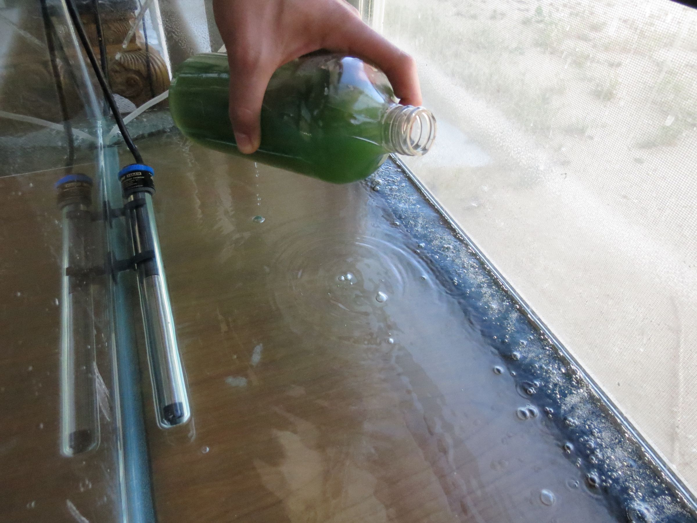 Food of the Future: Window DIY Spirulina Superfood : 15 Steps (with ...