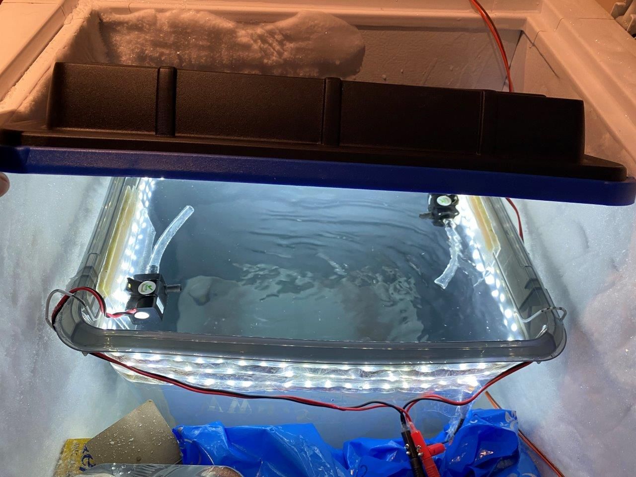 How to Make Large Blocks of Clear Ice for Sculpting and Drink Making ...