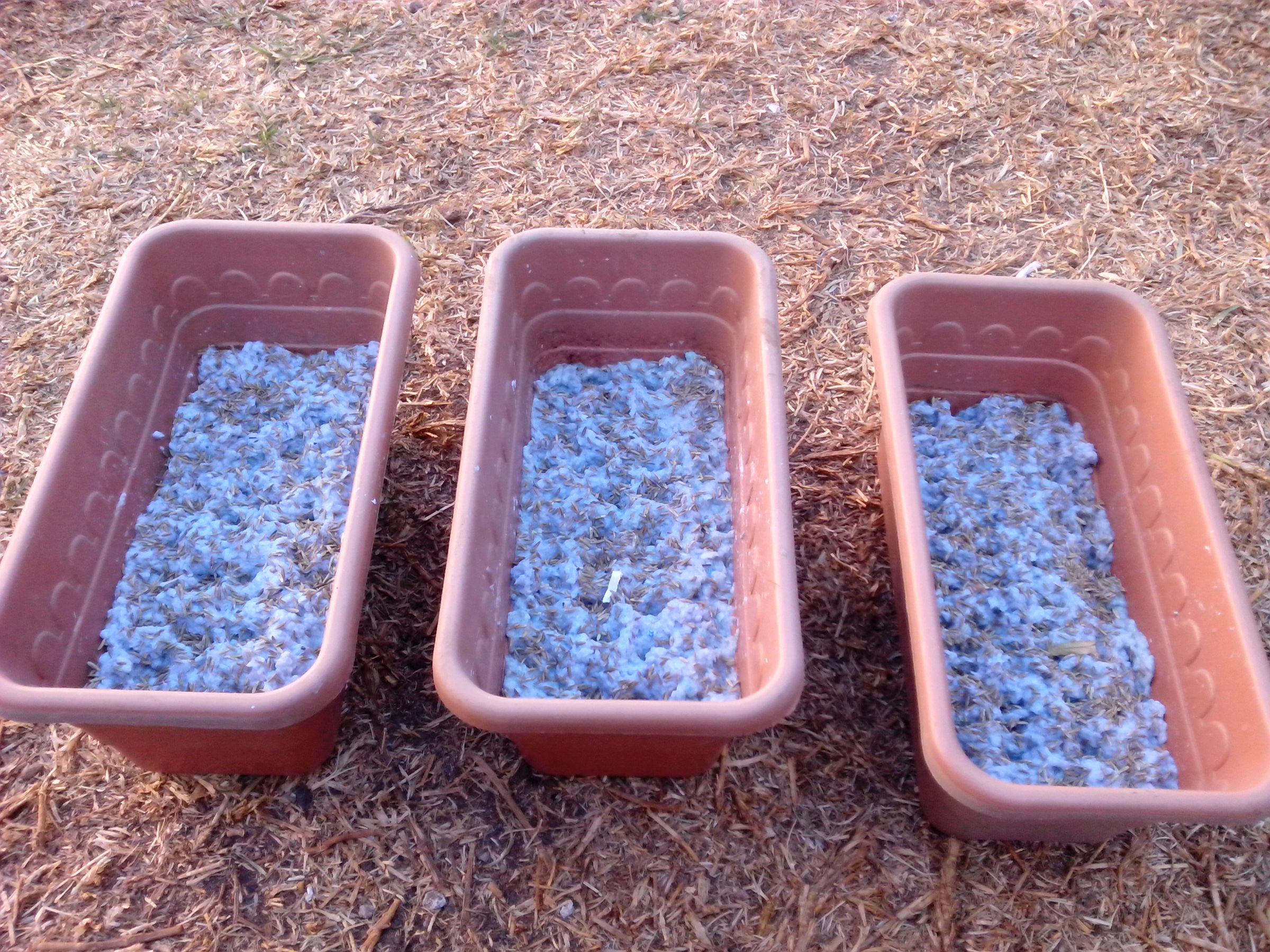 Paper-Green a New Way to Recycle and Plant : 4 Steps (with Pictures ...