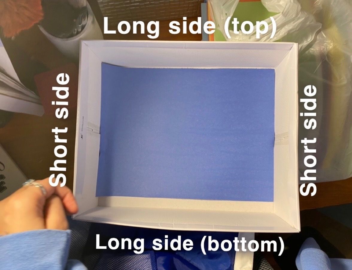 The Shoebox Aquarium : 10 Steps - Instructables