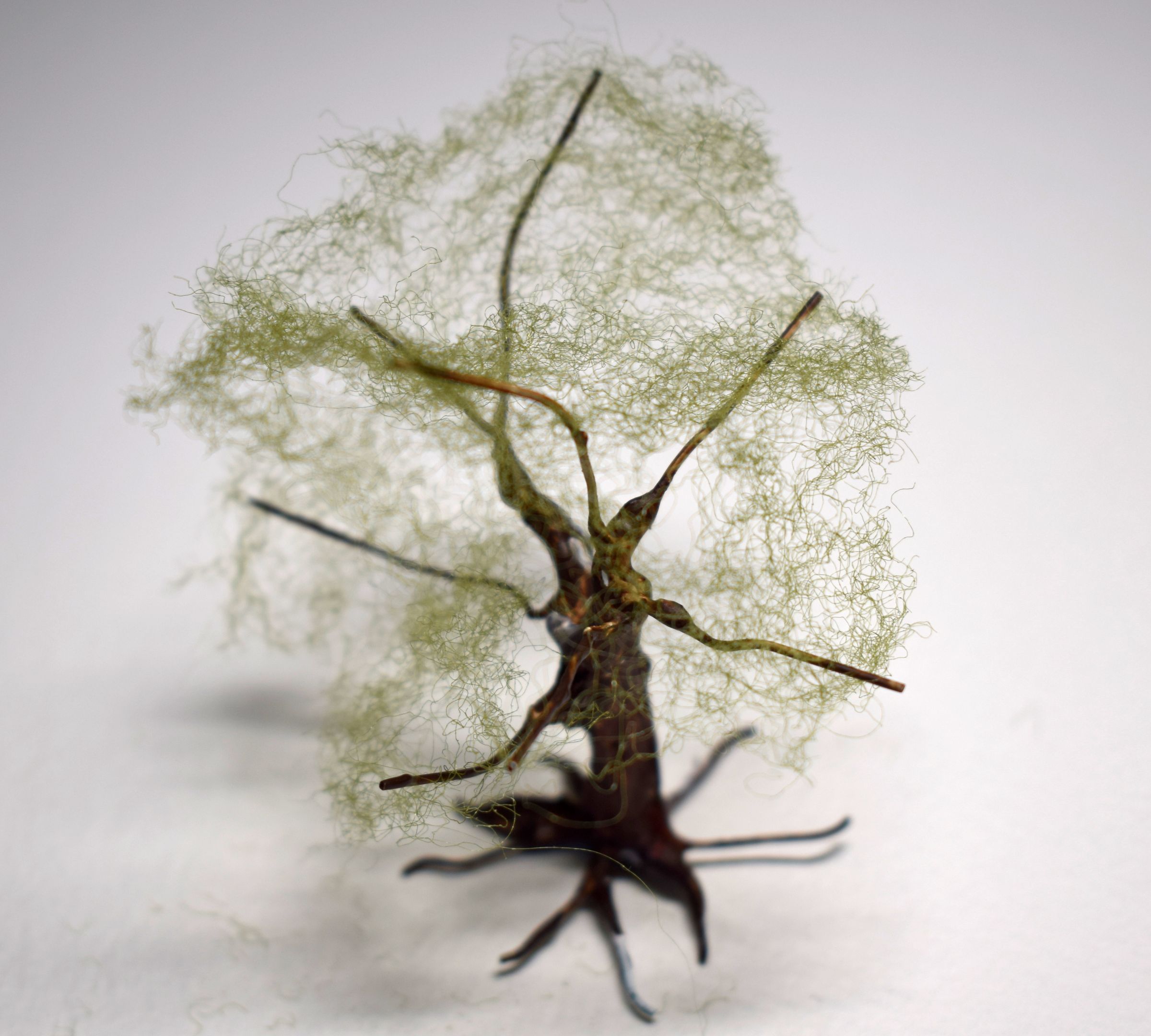 Modelling Trees : 9 Steps (with Pictures) - Instructables