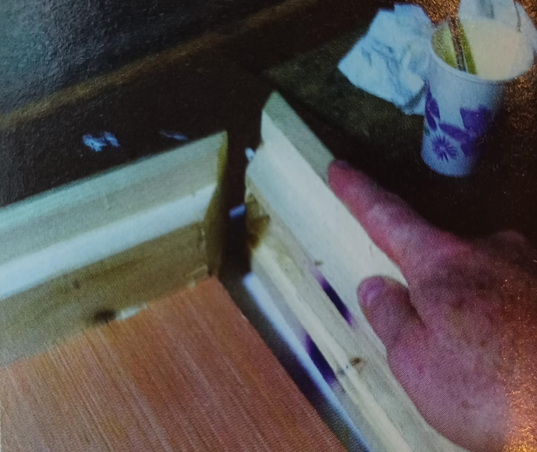 Blue Ribbon Beetle Trapping Bottom Board : 45 Steps (with Pictures ...