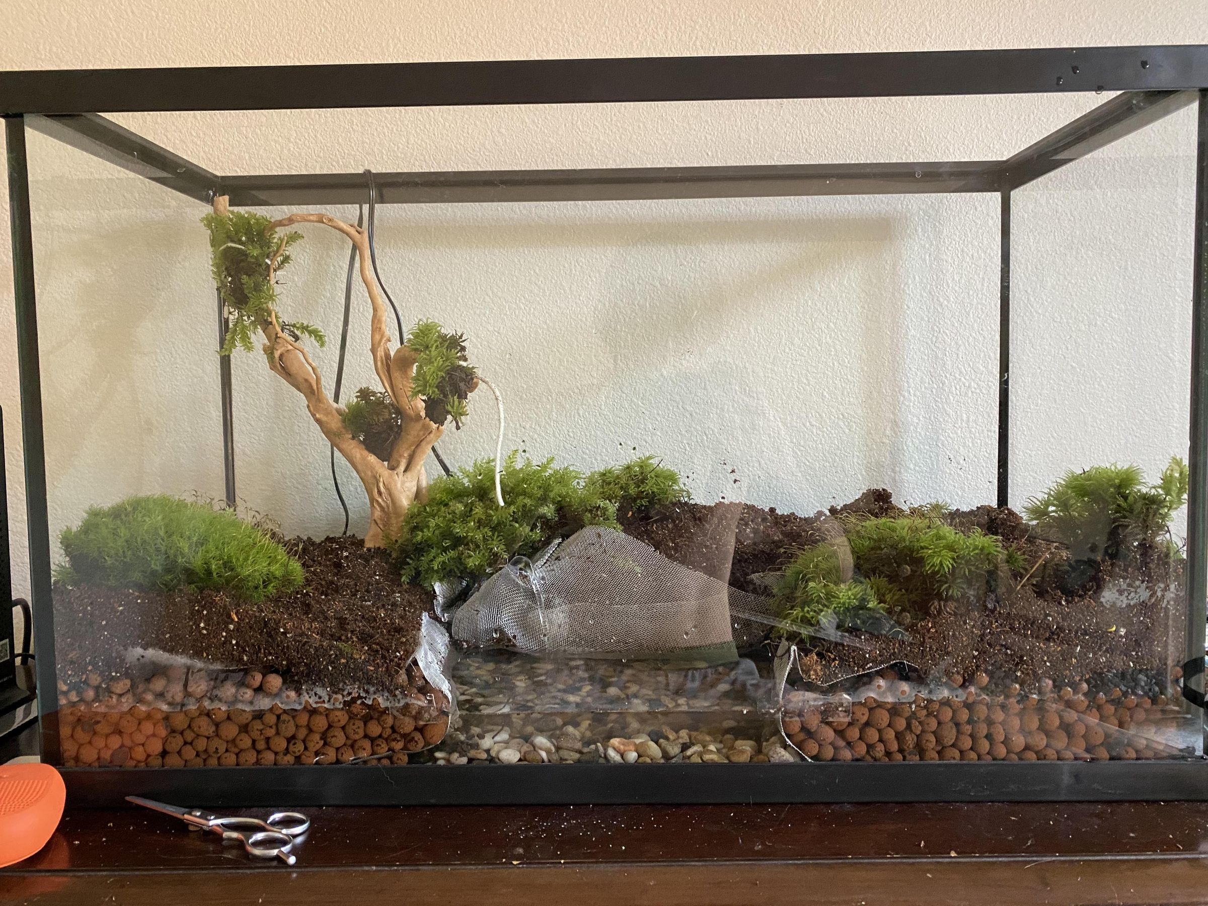 How to Build a Paludarium : 7 Steps (with Pictures) - Instructables