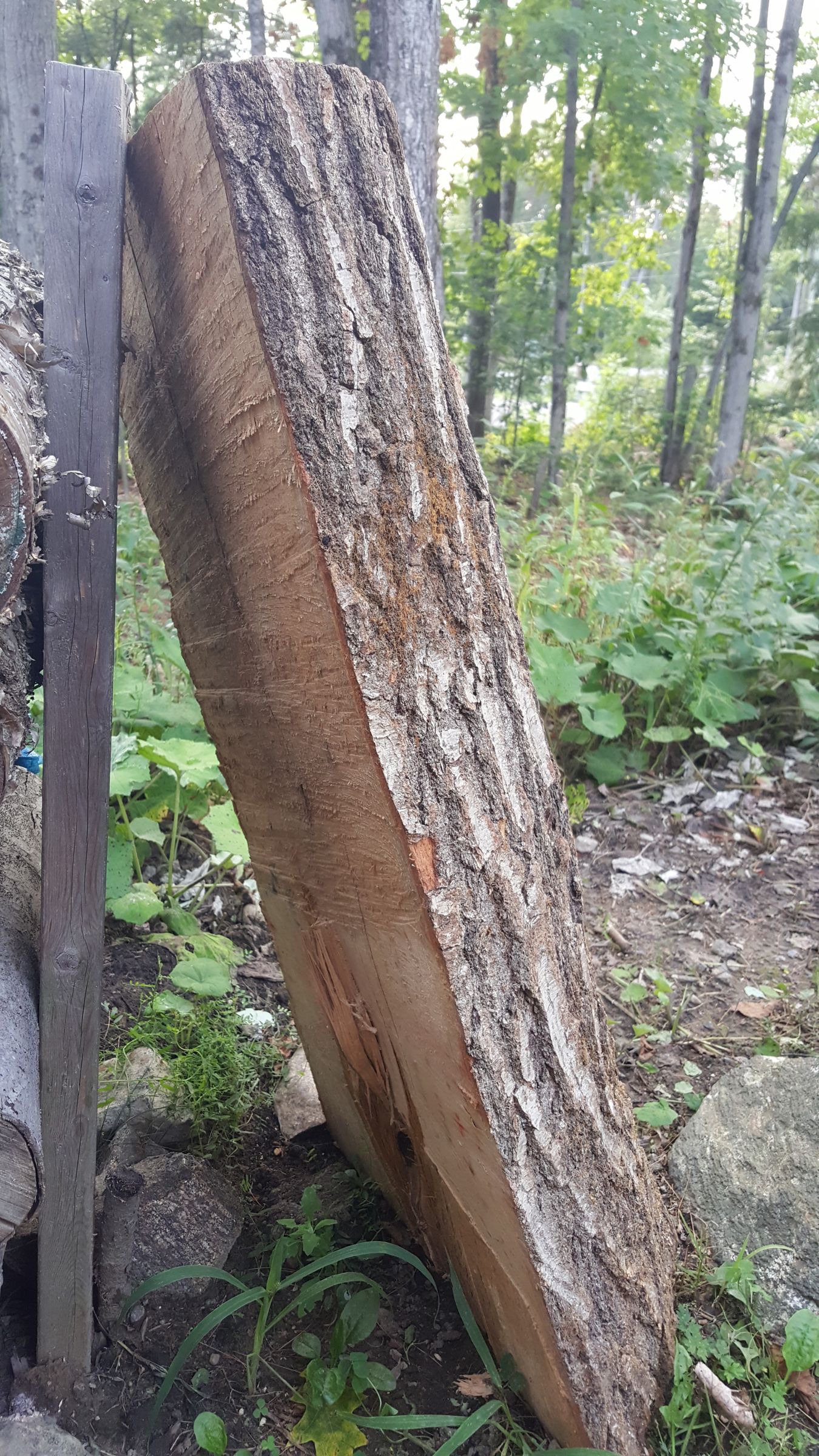 Natural Wood Bench : 8 Steps (with Pictures) - Instructables