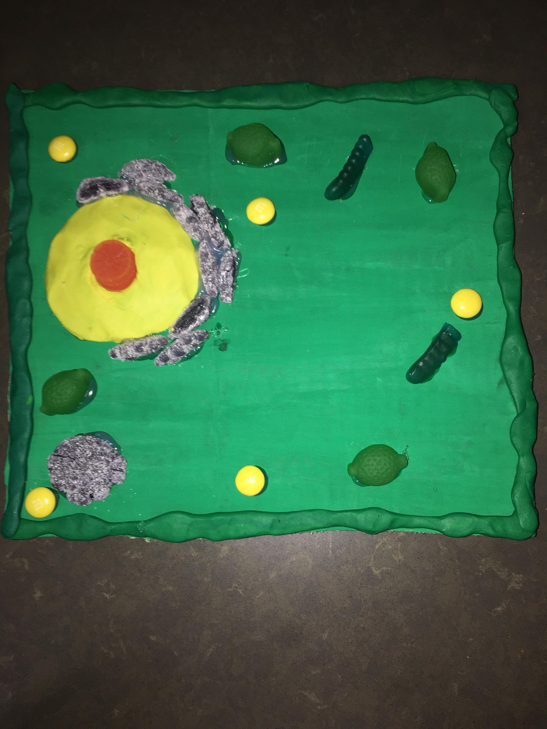 Plant Cell Model : 10 Steps - Instructables