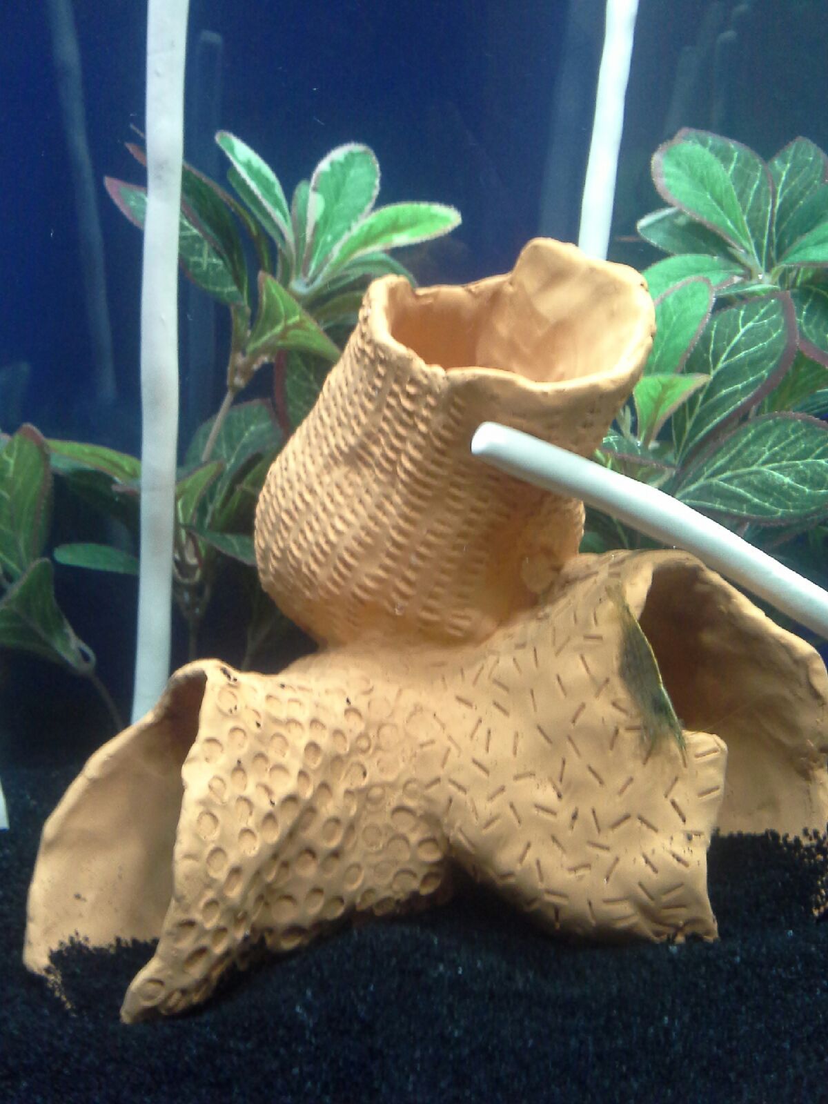 Diy Aquarium Cave