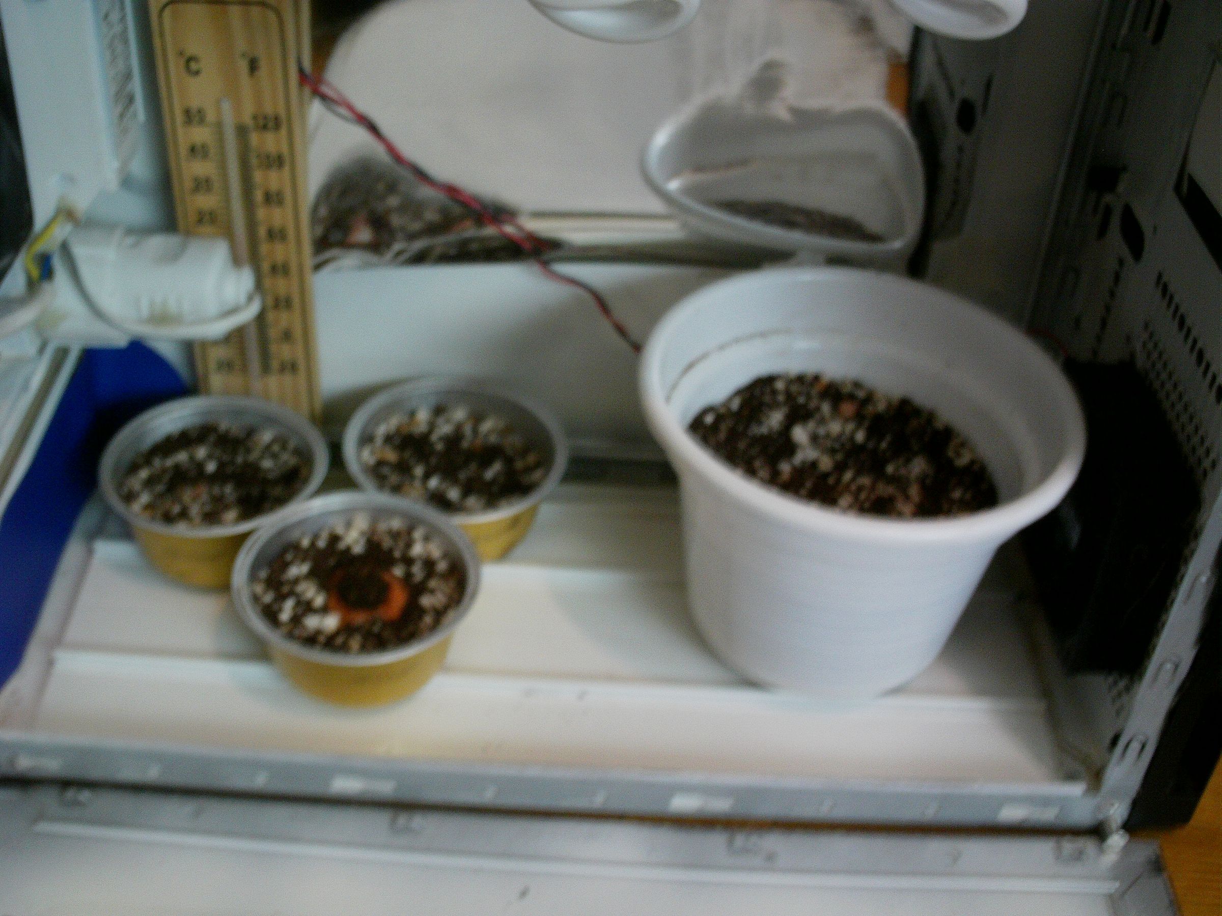 Transforming an Old PC Box Into a Mini-indoor Grow System. Transformar ...