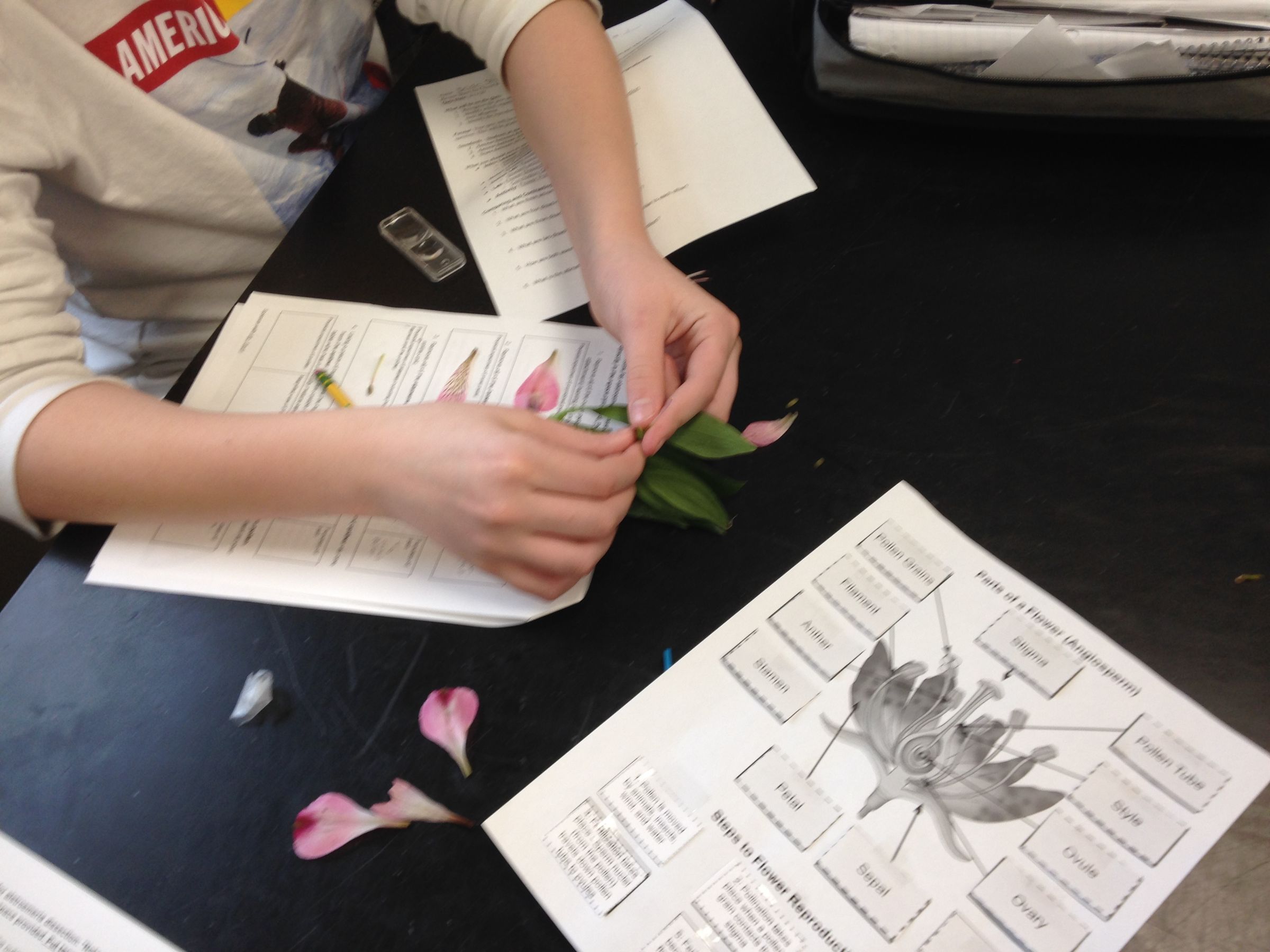 Flower Flip-Flap Activity : 4 Steps - Instructables