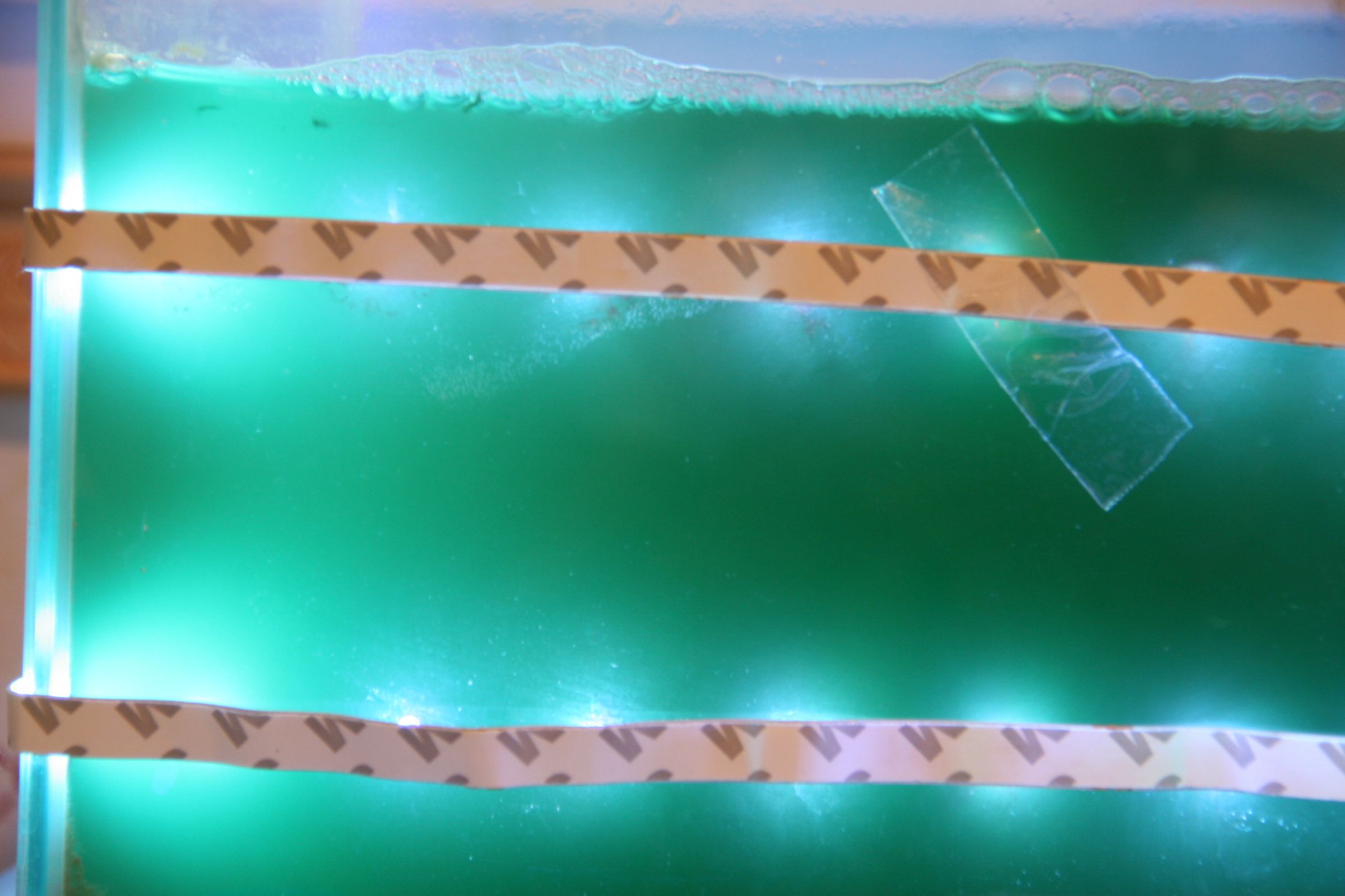 LAP - Purifying Water With New Technologies and Algea : 6 Steps (with ...