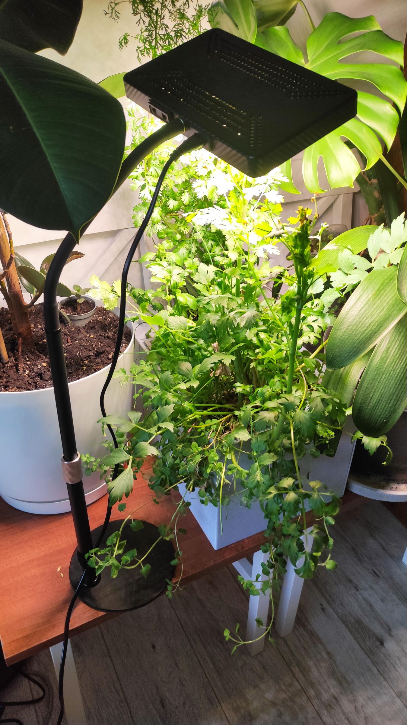 HydroForge - Hydroponic Station : 17 Steps (with Pictures) - Instructables