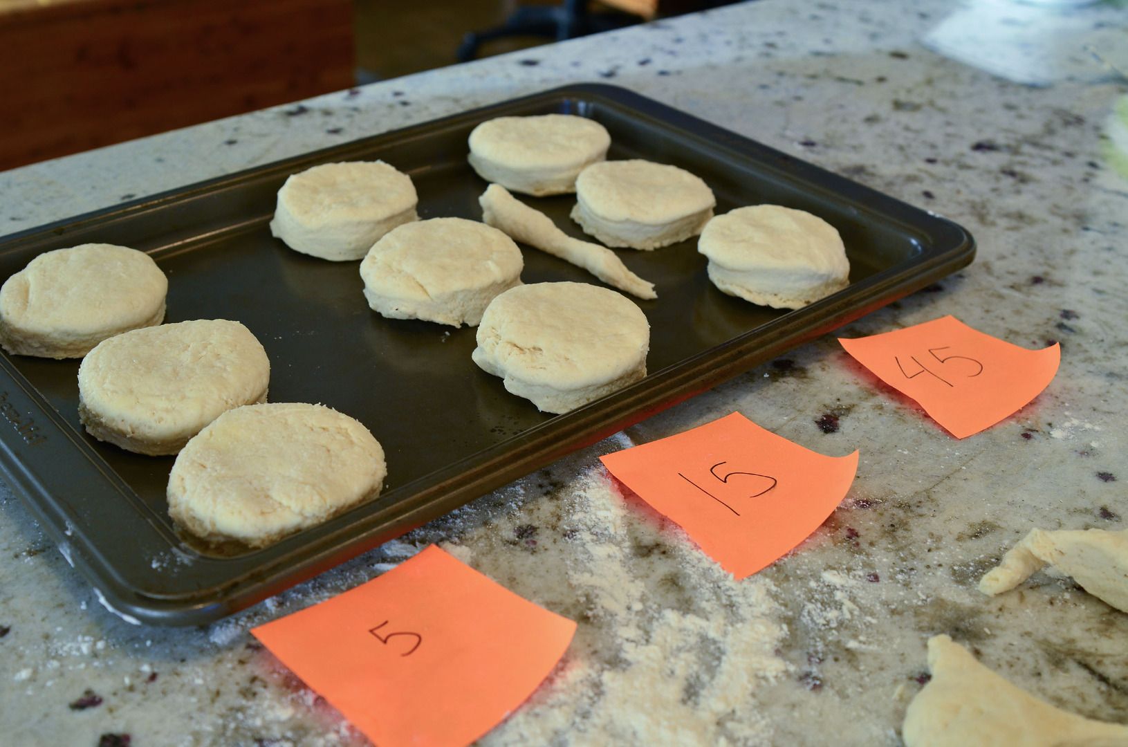 The Science of Biscuits : 14 Steps (with Pictures) - Instructables