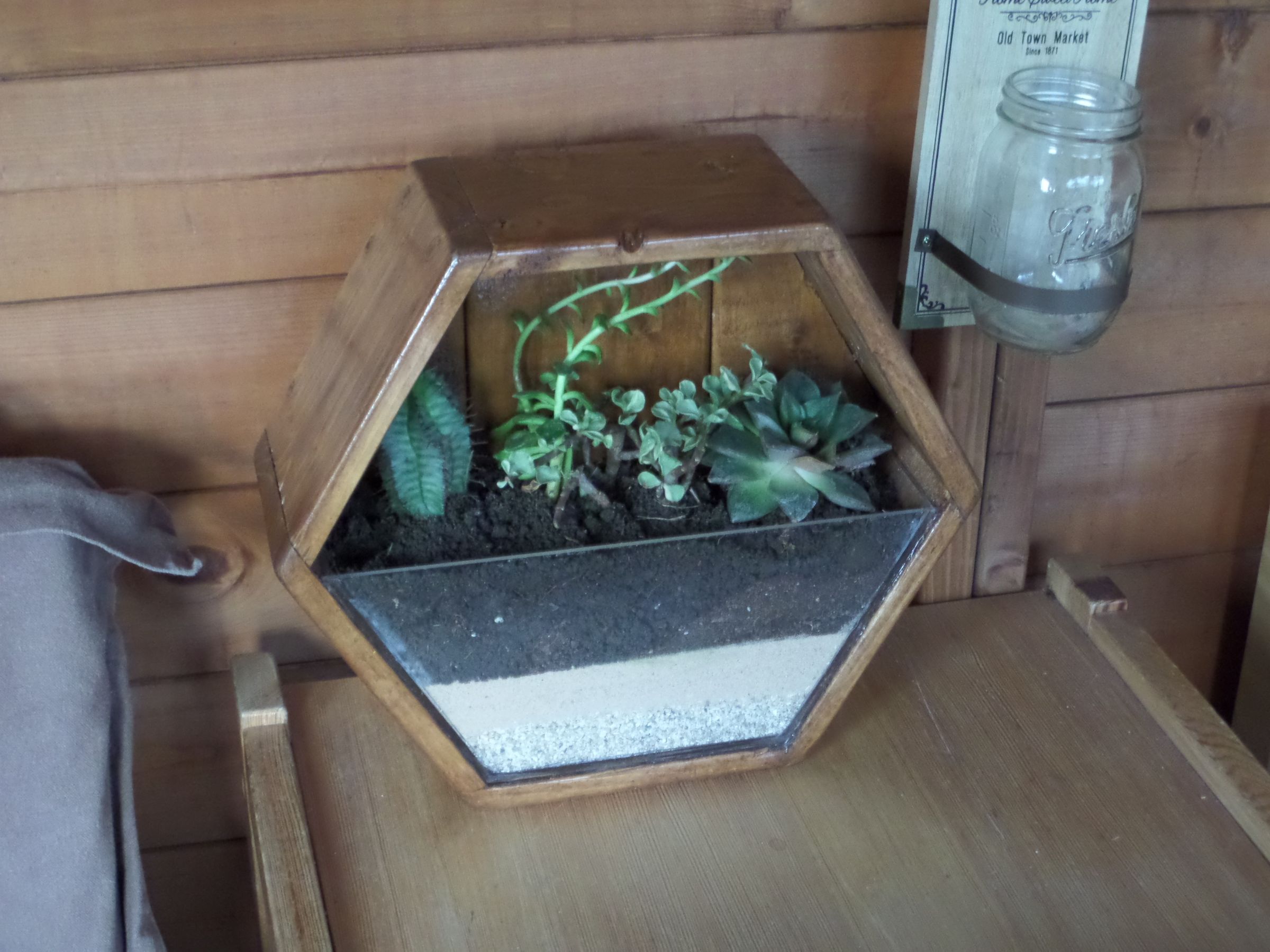 Easy Hexagonal Terrarium : 6 Steps (with Pictures) - Instructables