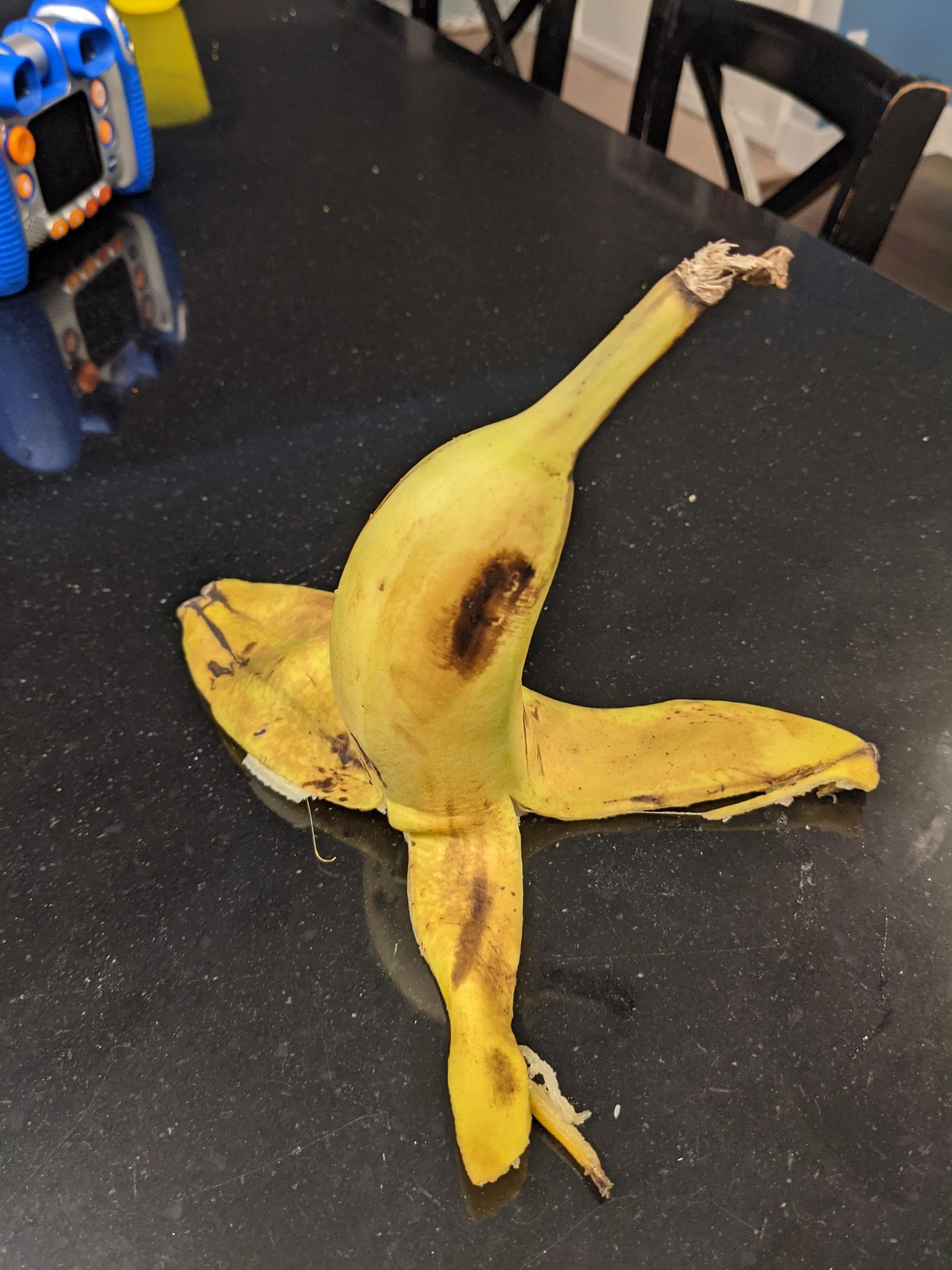 World Record Food Launcher! : 5 Steps - Instructables