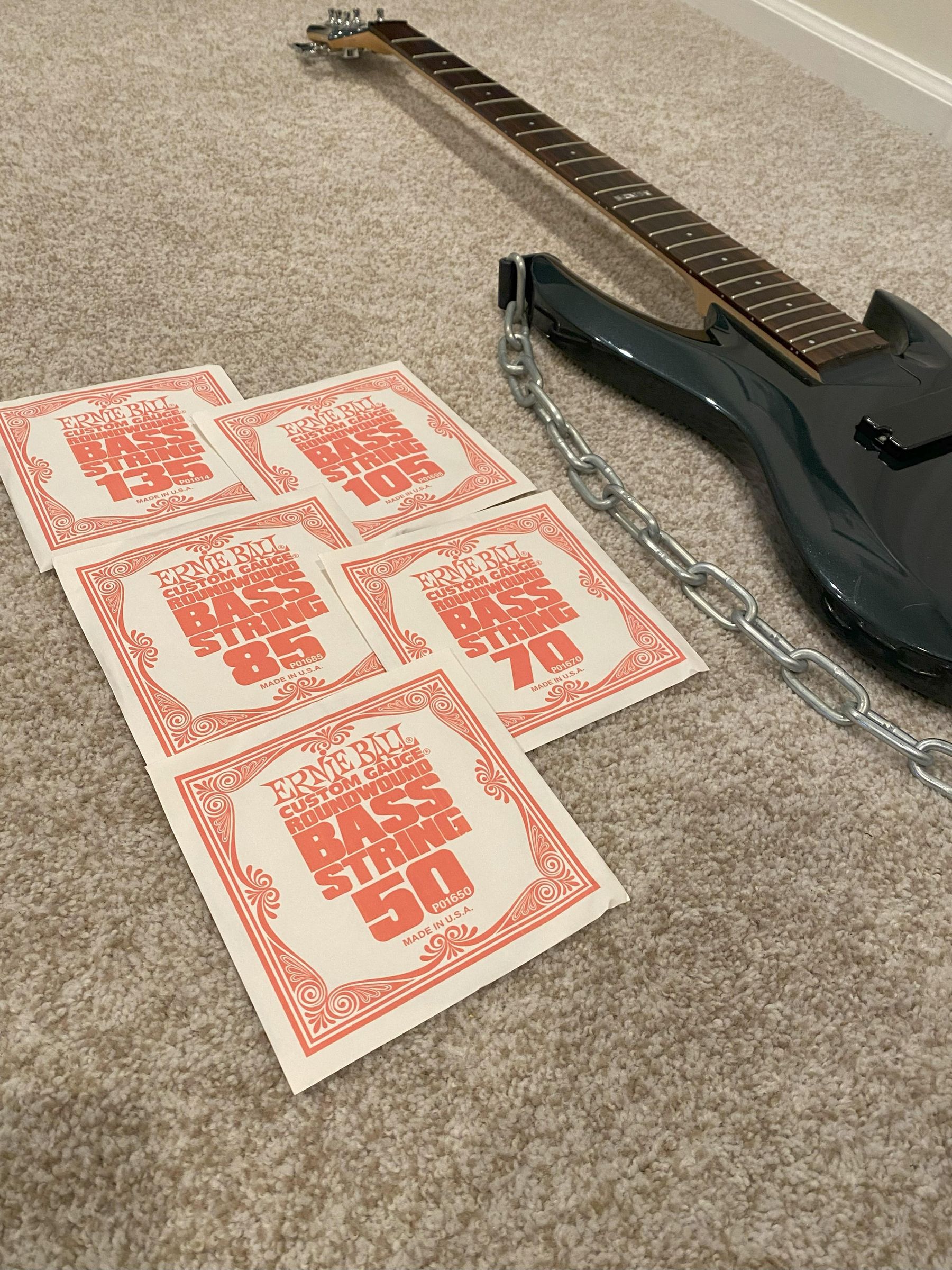 Bass Care 101: the Complete Guide to Basic Bass Care and Maintenance ...
