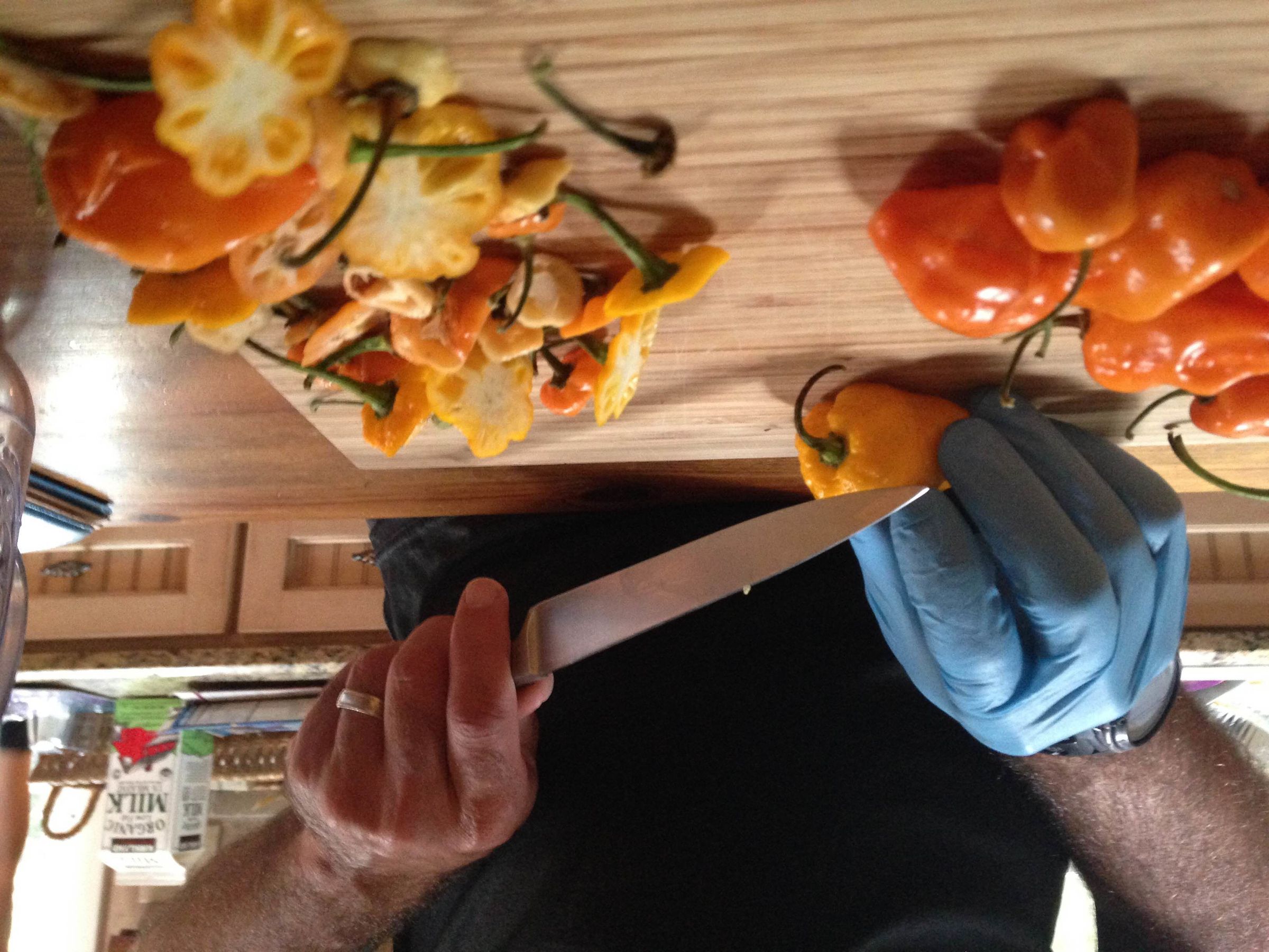 Extreme Hot Sauce From Scratch : 6 Steps (with Pictures) - Instructables