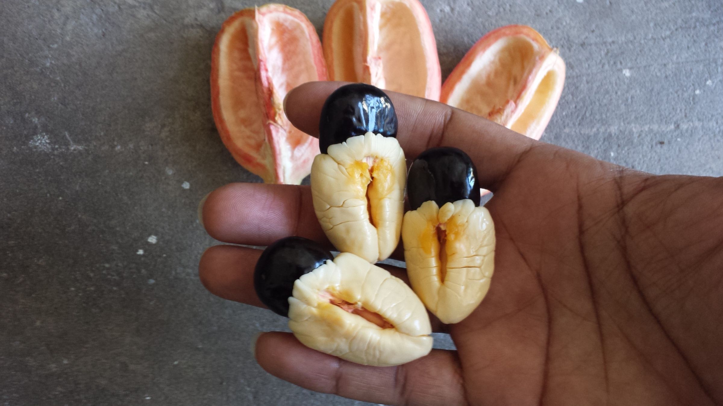 Stir Fry Ackee & Mixed Vegetables : 5 Steps - Instructables