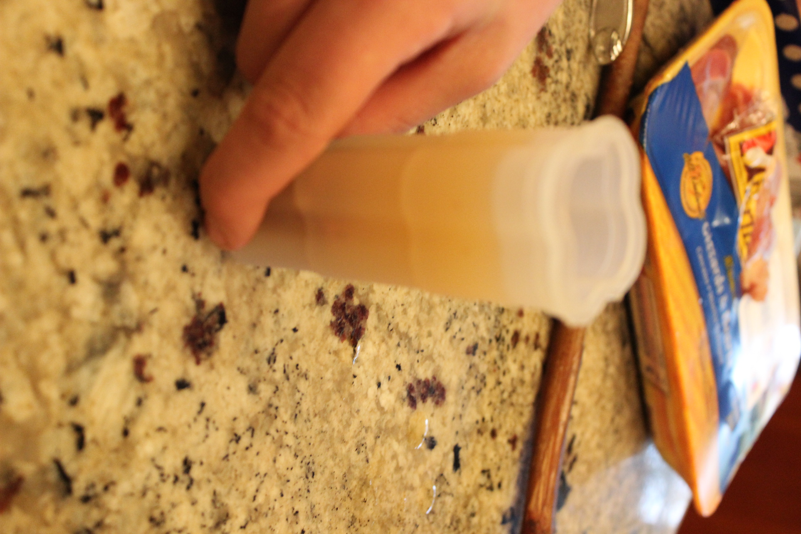 DIY Dog Popsicle - Instructables