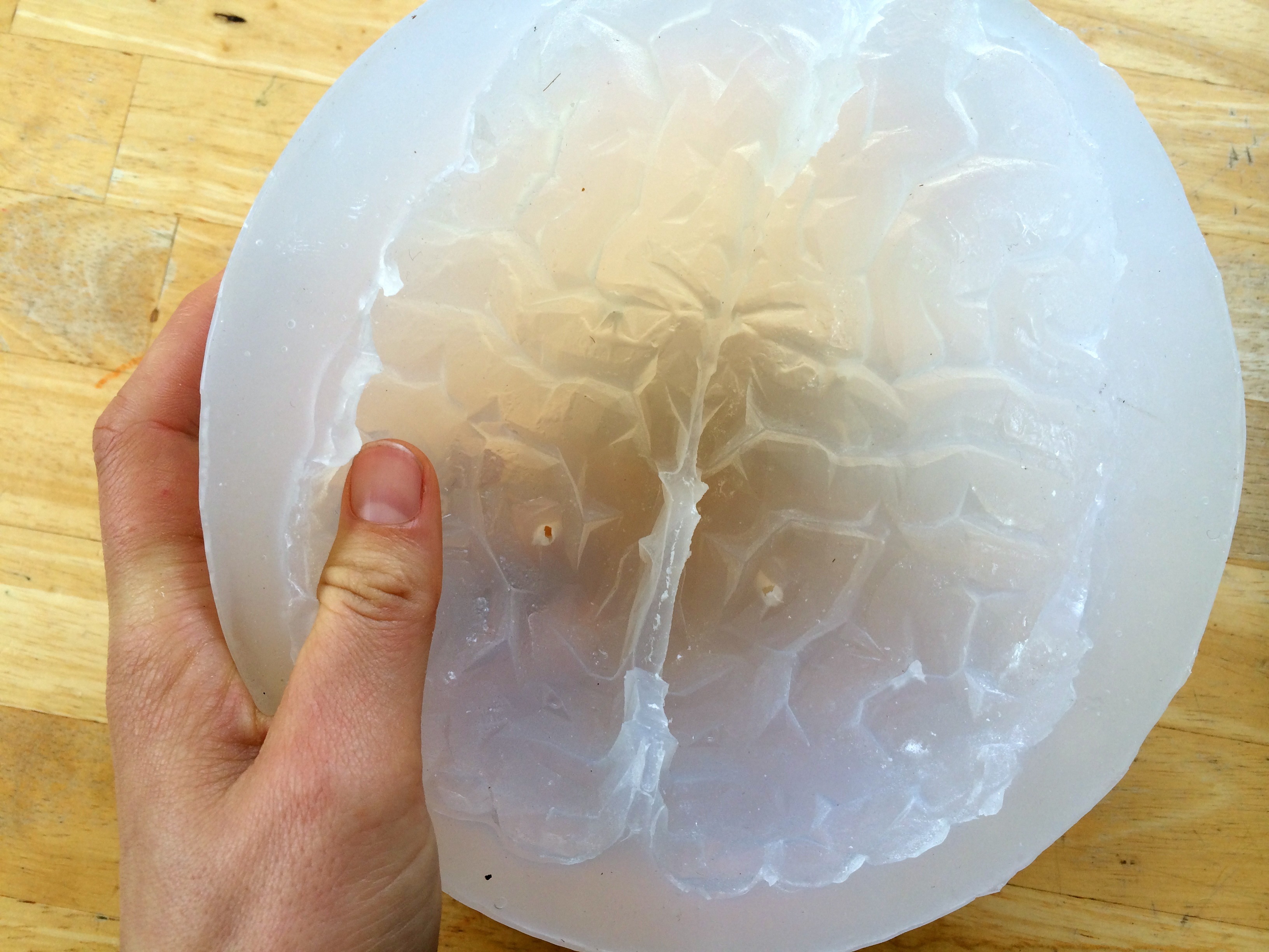 How to Make Beer-Washed Brain Cheese : 9 Steps (with Pictures ...