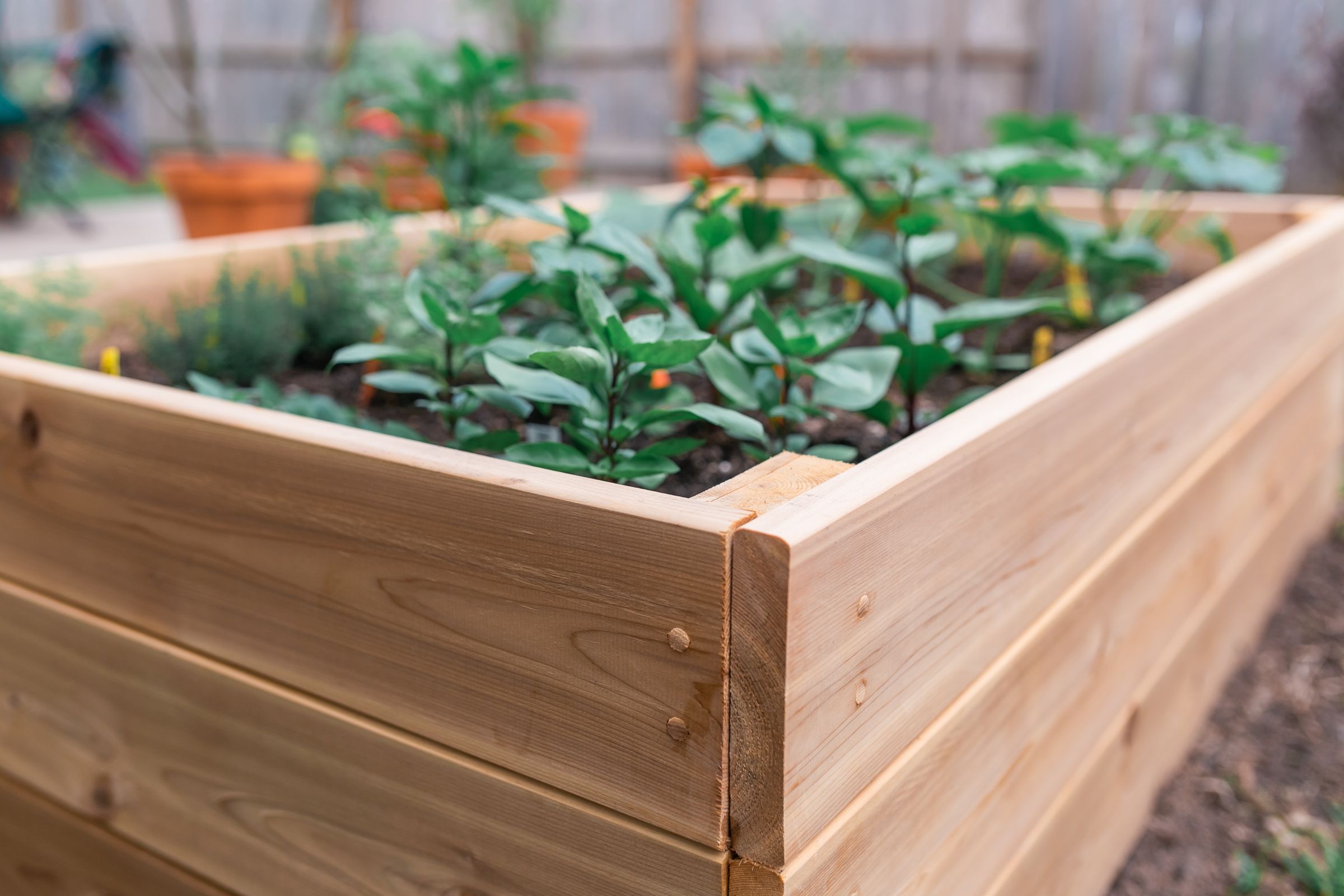 How to Build a Raised Garden Bed : 9 Steps (with Pictures) - Instructables